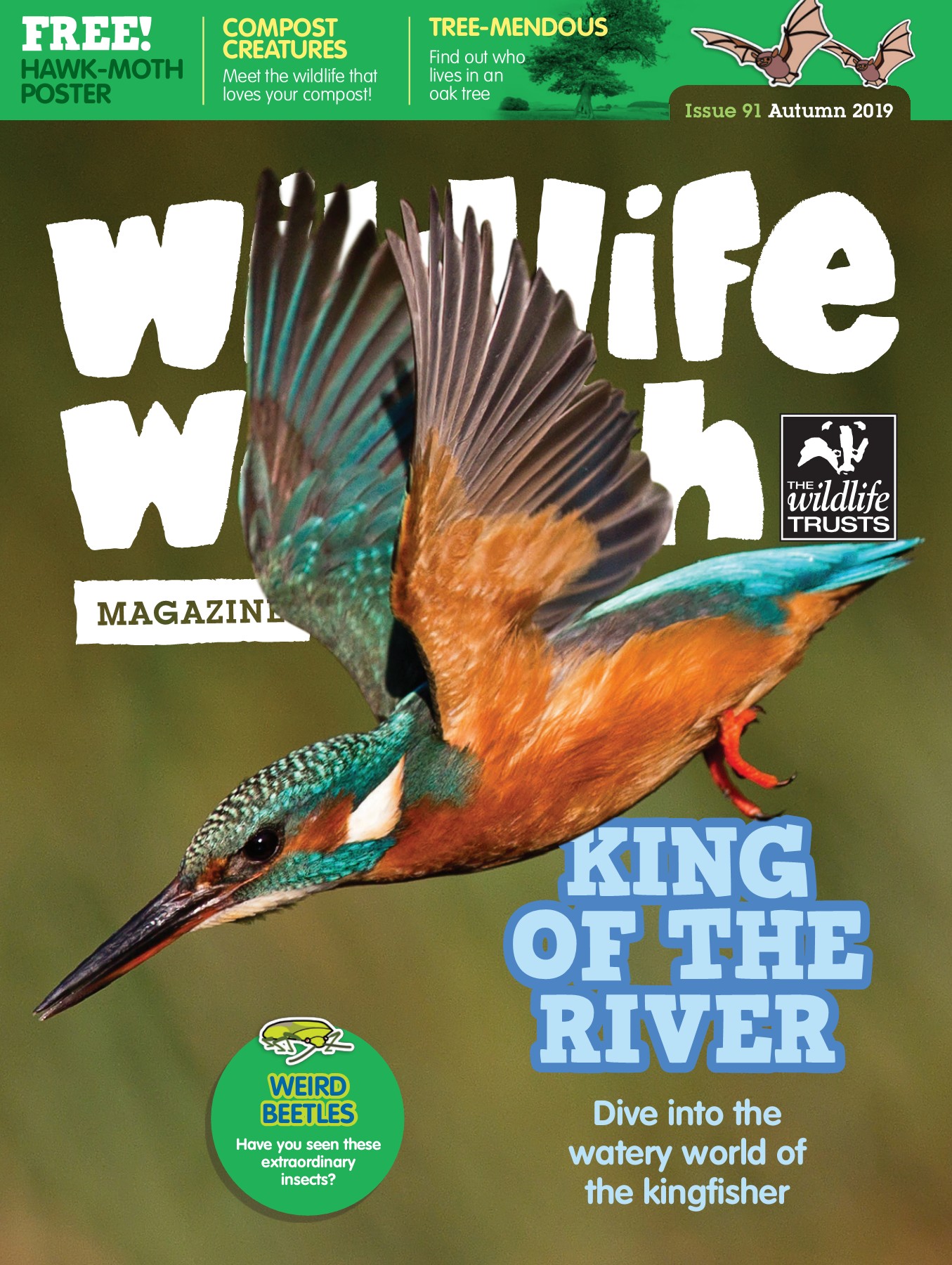Wildlife Watch Issue 91 - Autumn 2019 - Warwickshire Wildlife Trust - Page 1 - 24 | Flip PDF ...