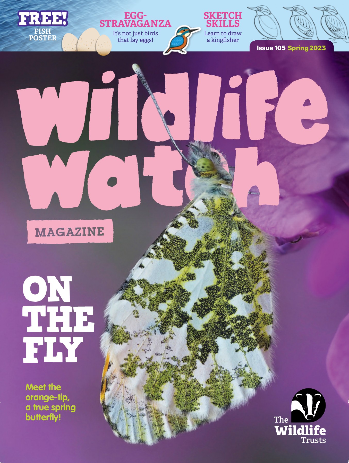 Wildlife Watch Issue 105 Spring 2023 - Warwickshire Wildlife Trust ...