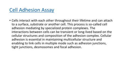 Cell Adhesion Assay - sabrina run - Page 1 - 4 | Flip PDF Online | PubHTML5