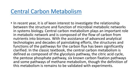 Central Carbon Metabolism - sabrina run - Page 1 - 3 | Flip PDF Online ...