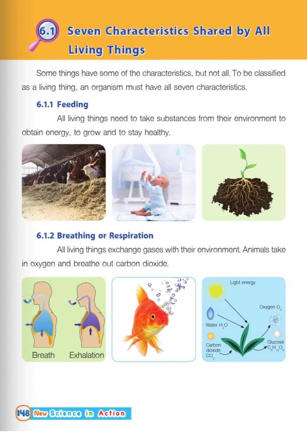 Science in action Primary 4 - Private Library - Page 147 | Flip PDF ...