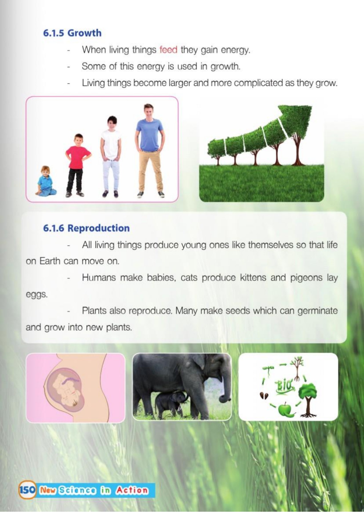Science in action Primary 4 - Private Library - Page 149 | Flip PDF ...