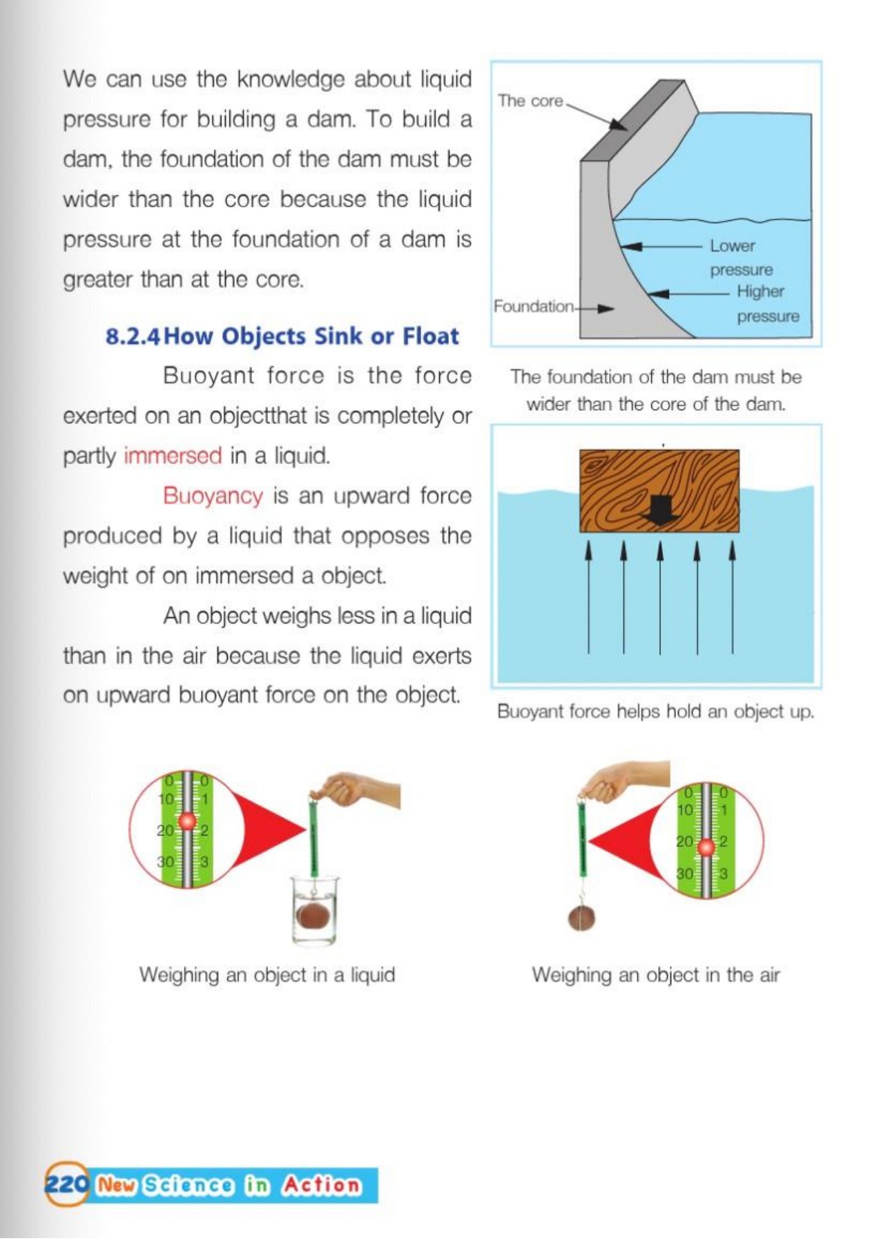 Science in action Primary 4 - Private Library - Page 219 | Flip PDF ...