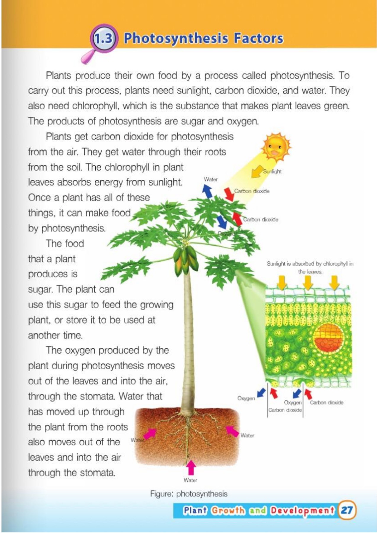 Science in action Primary 4 - Private Library - Page 29 | Flip PDF ...