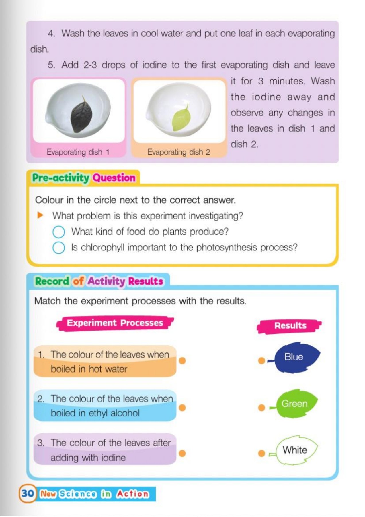 Science in action Primary 4 - Private Library - Page 32 | Flip PDF ...