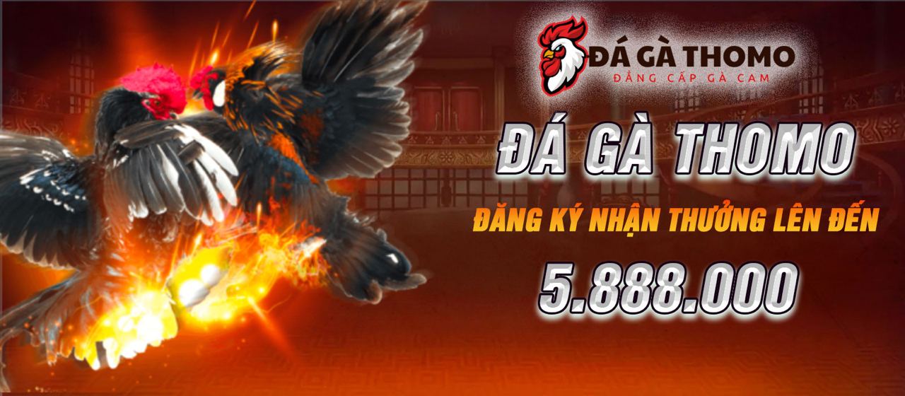 dagathomo.ca Official Homepage | PubHTML5