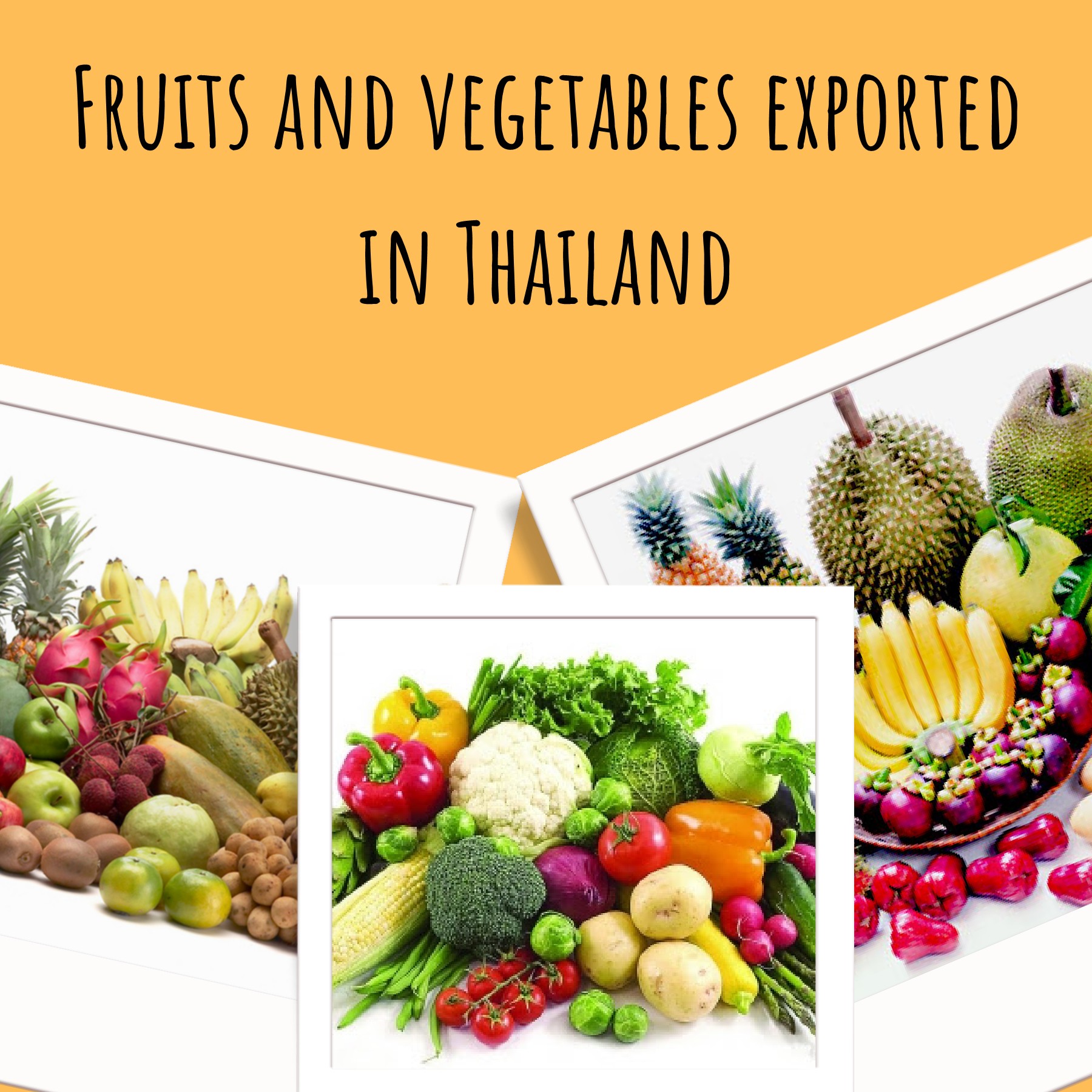 Fruits and vegetables exported in Thailand - กมลนัทธิ์ ธนเชวงวงศ์ ...