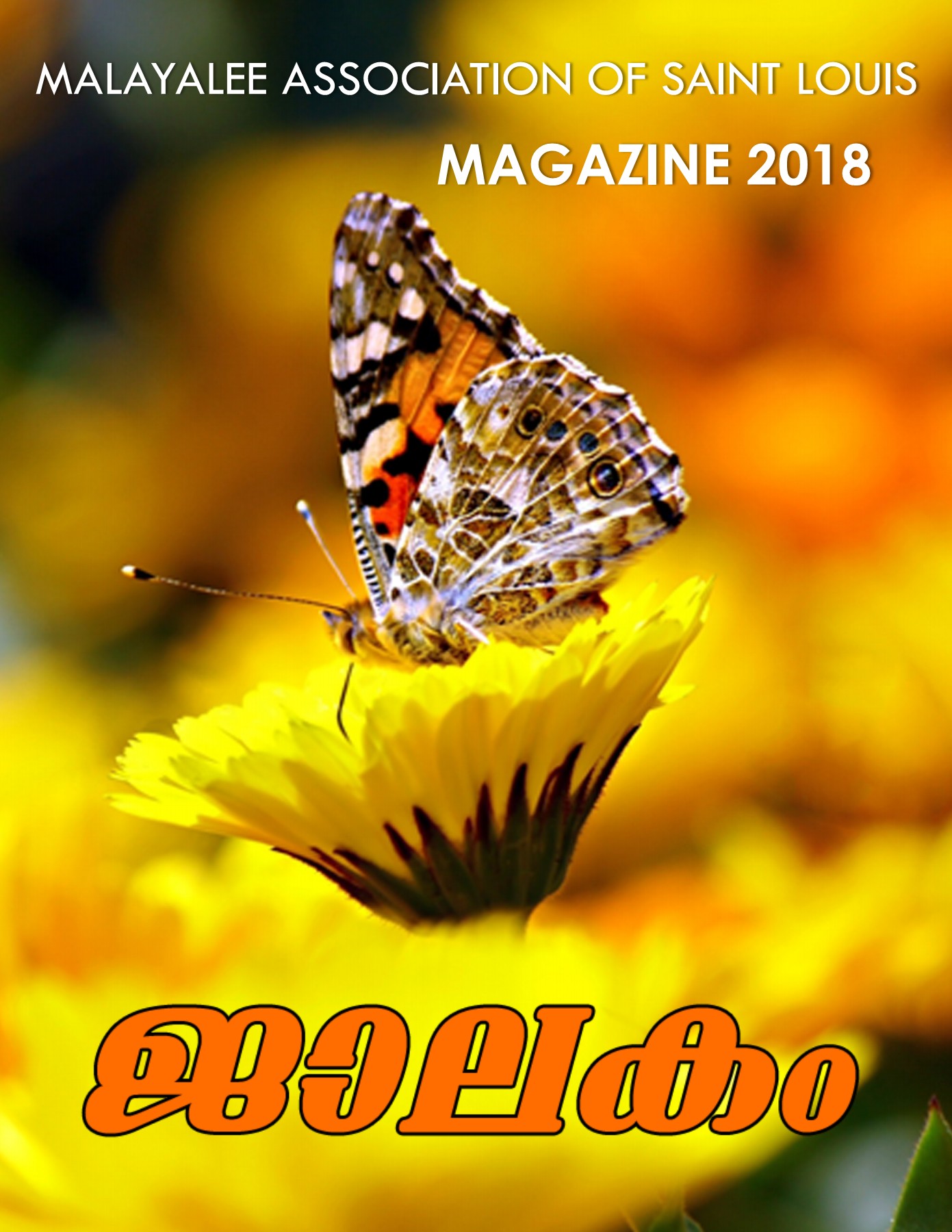 STLMA-2018-Jalakam - sameeha ss - Page 1 - 32 | Flip PDF Online | PubHTML5