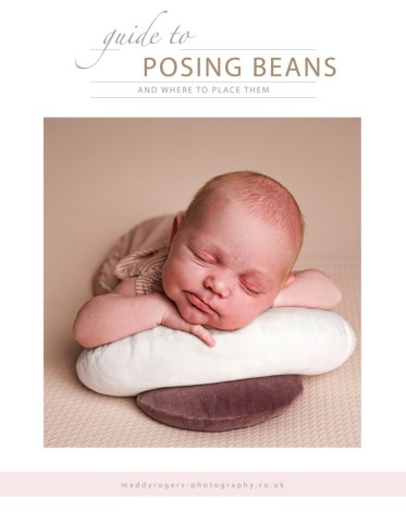 POSING BEAN GUIDE 2022
