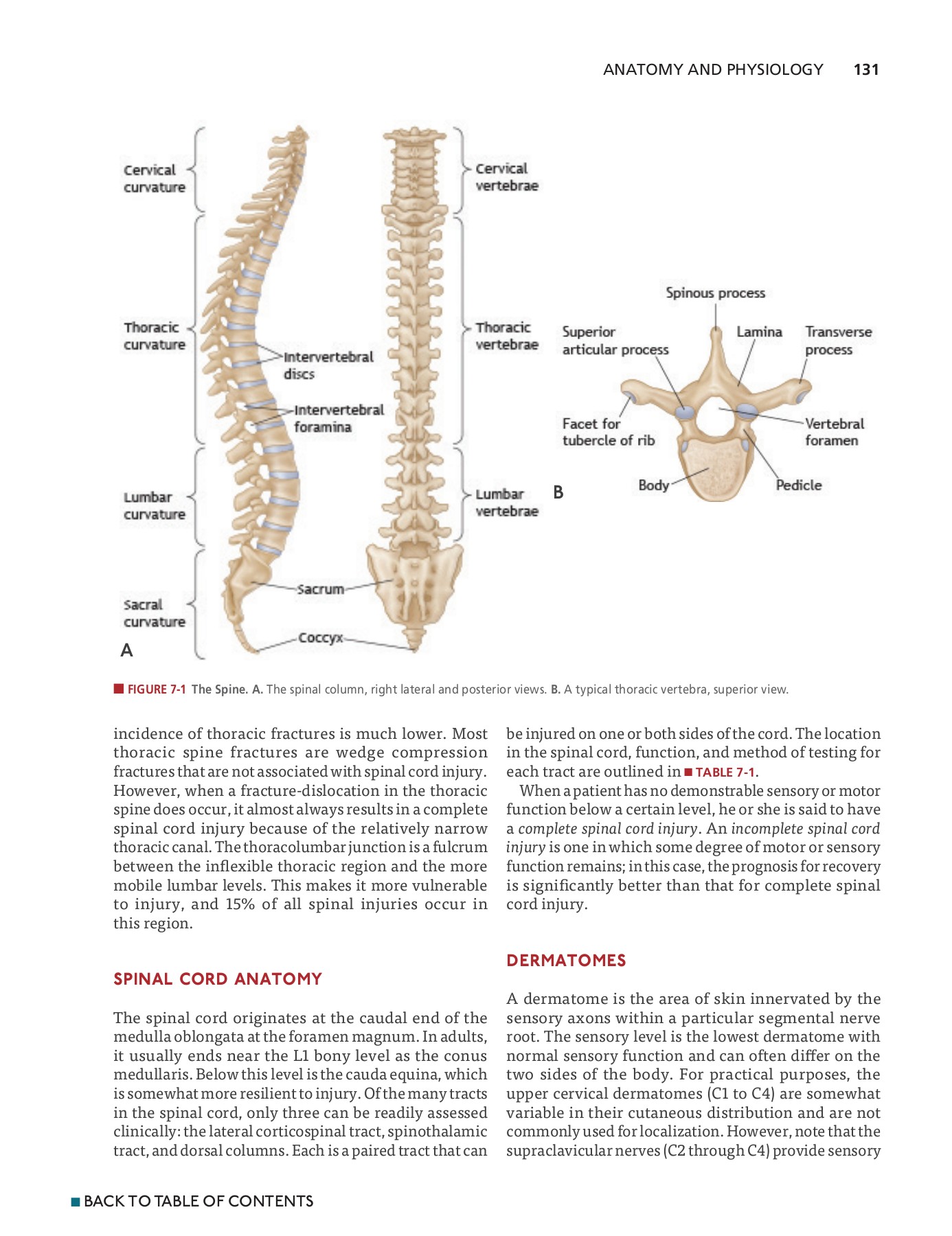ATLS 10th Edition Student Manual - ana.irfan - Page 184 | Flip PDF ...