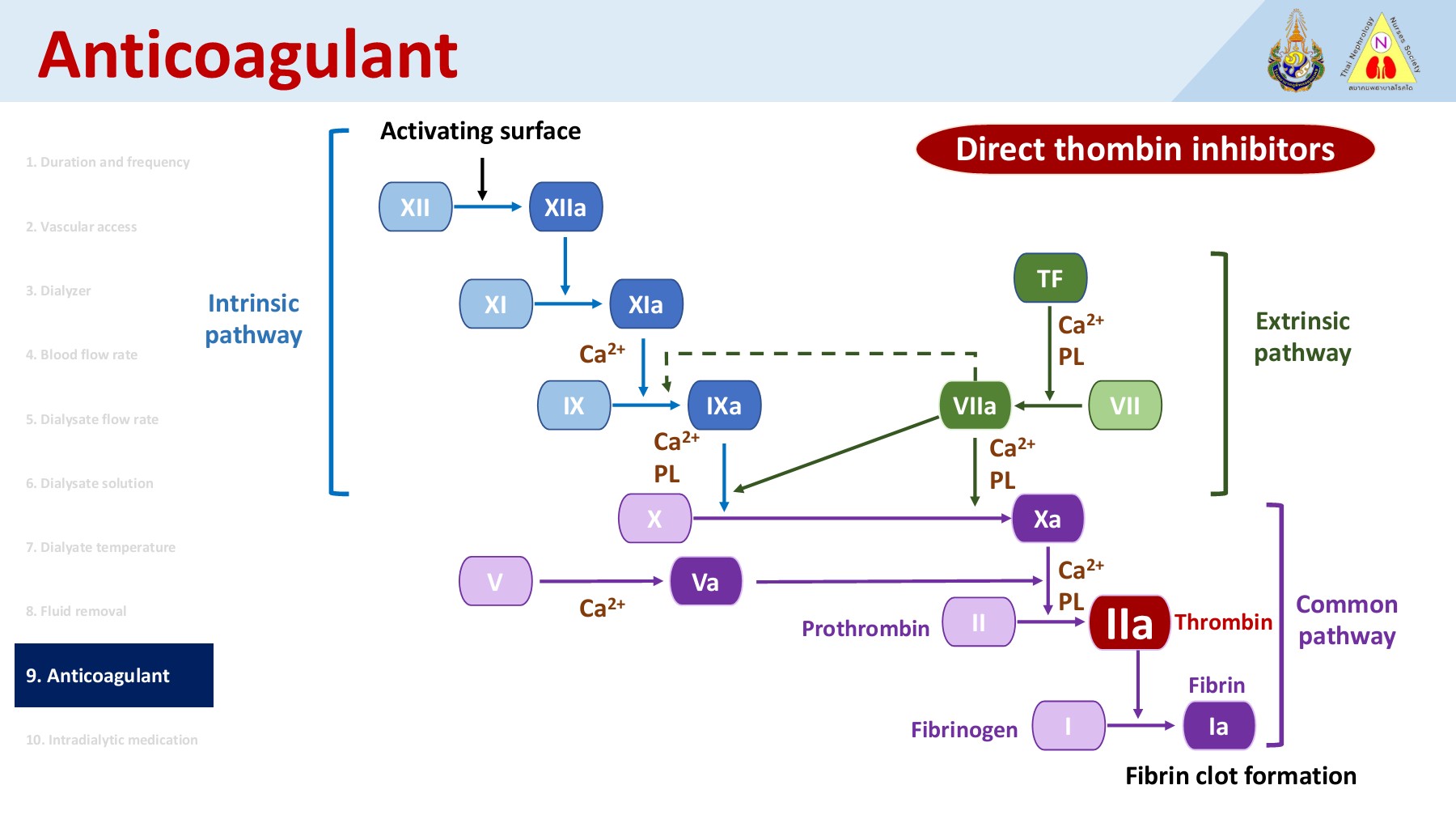 HD prescription and anticoag_handout - hdexperttuter - Page 51 | Flip ...
