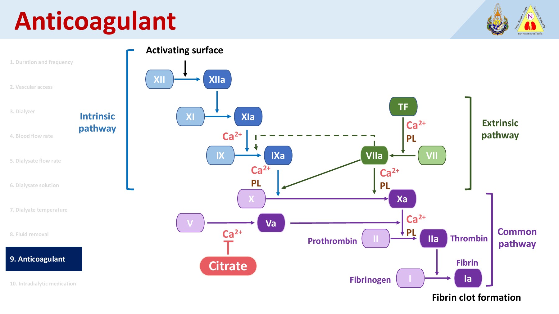 HD prescription and anticoag_handout - hdexperttuter - Page 52 | Flip ...