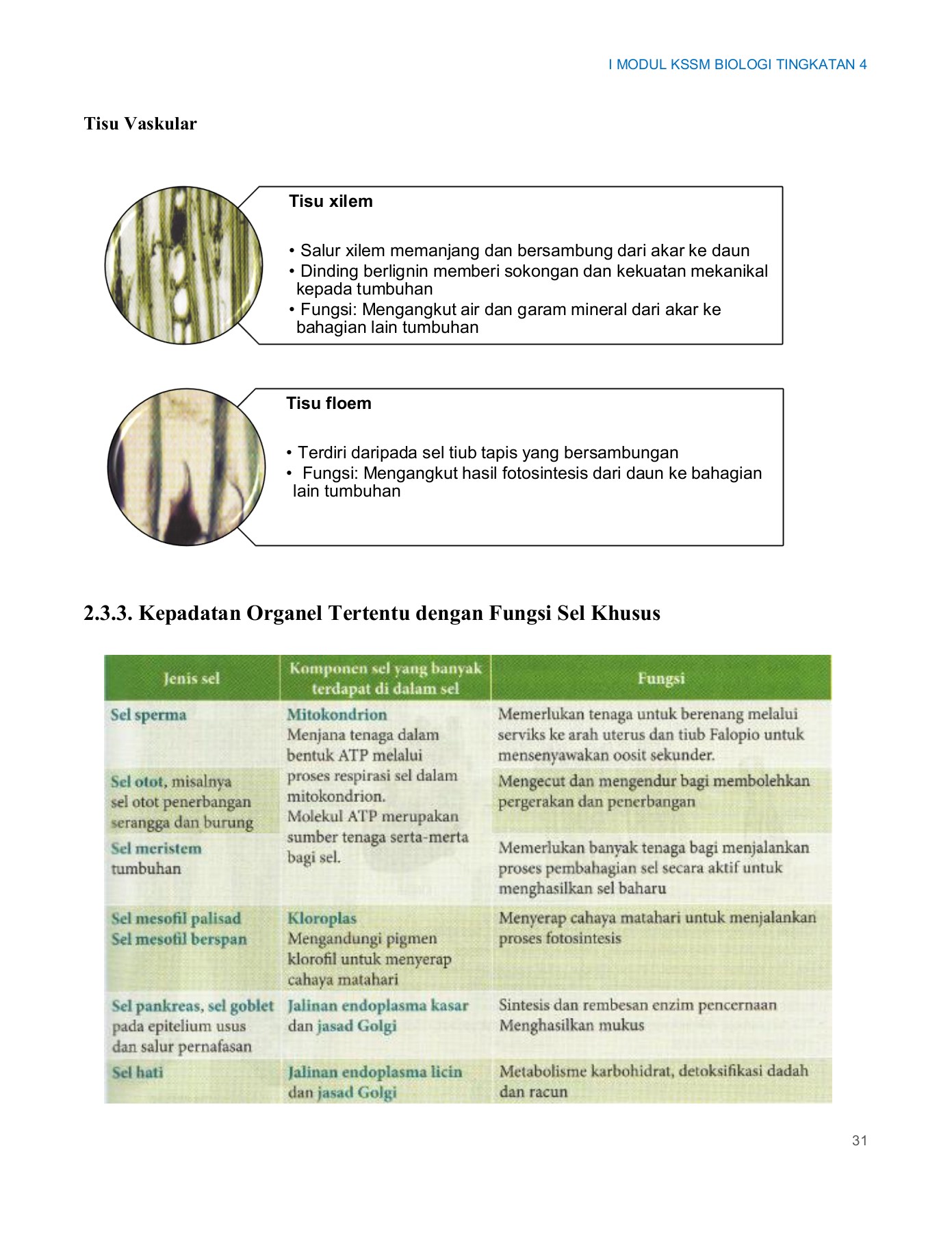 MODUL BIOLOGI KSSM T4 - MELAKA-CM28 Moe - Muka Surat 35 | Membalik PDF ...