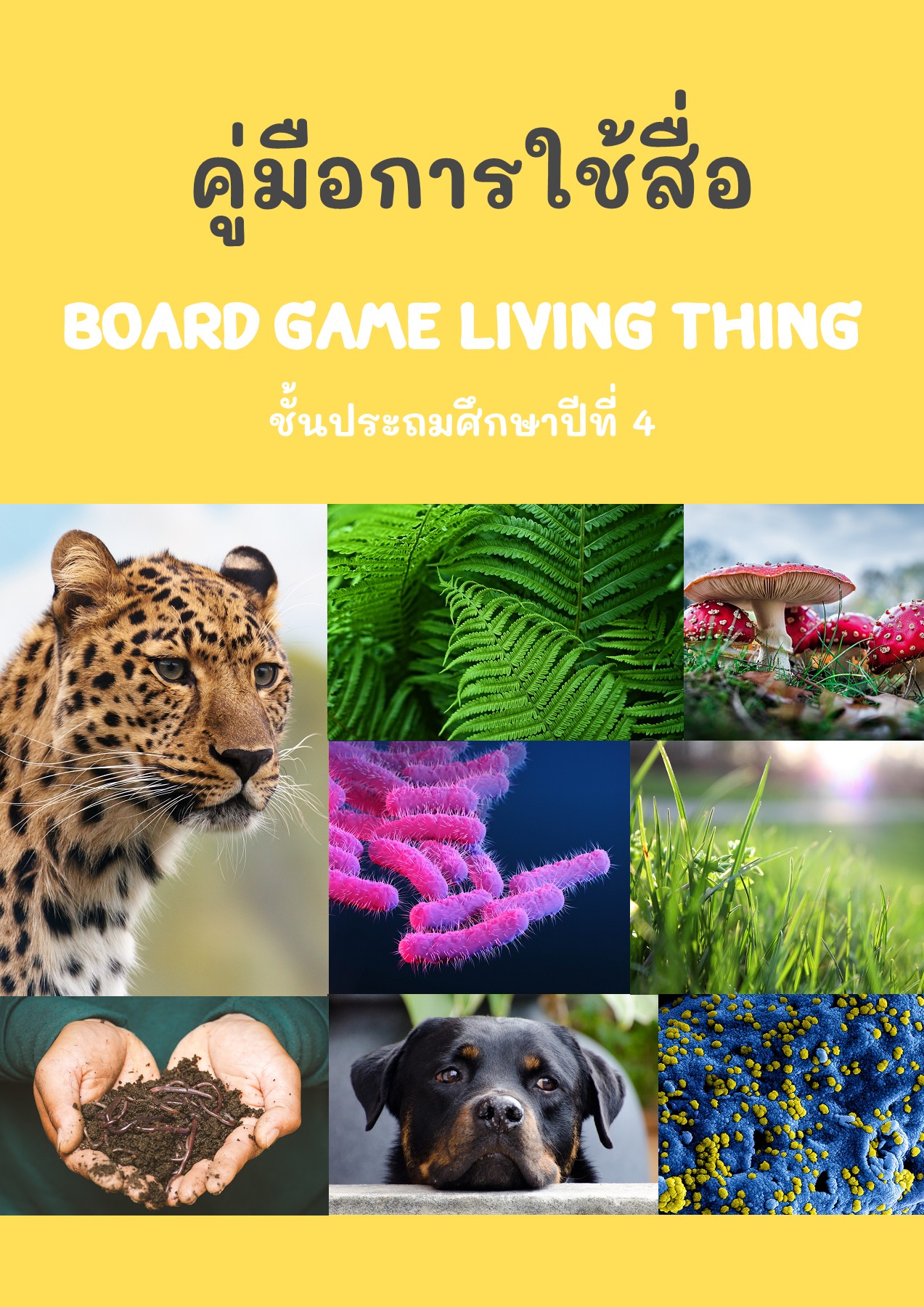 คู่มือการใช้สื่อ เรื่อง BOARD GAME LIVING THINGS - Wichida Soonjan ...
