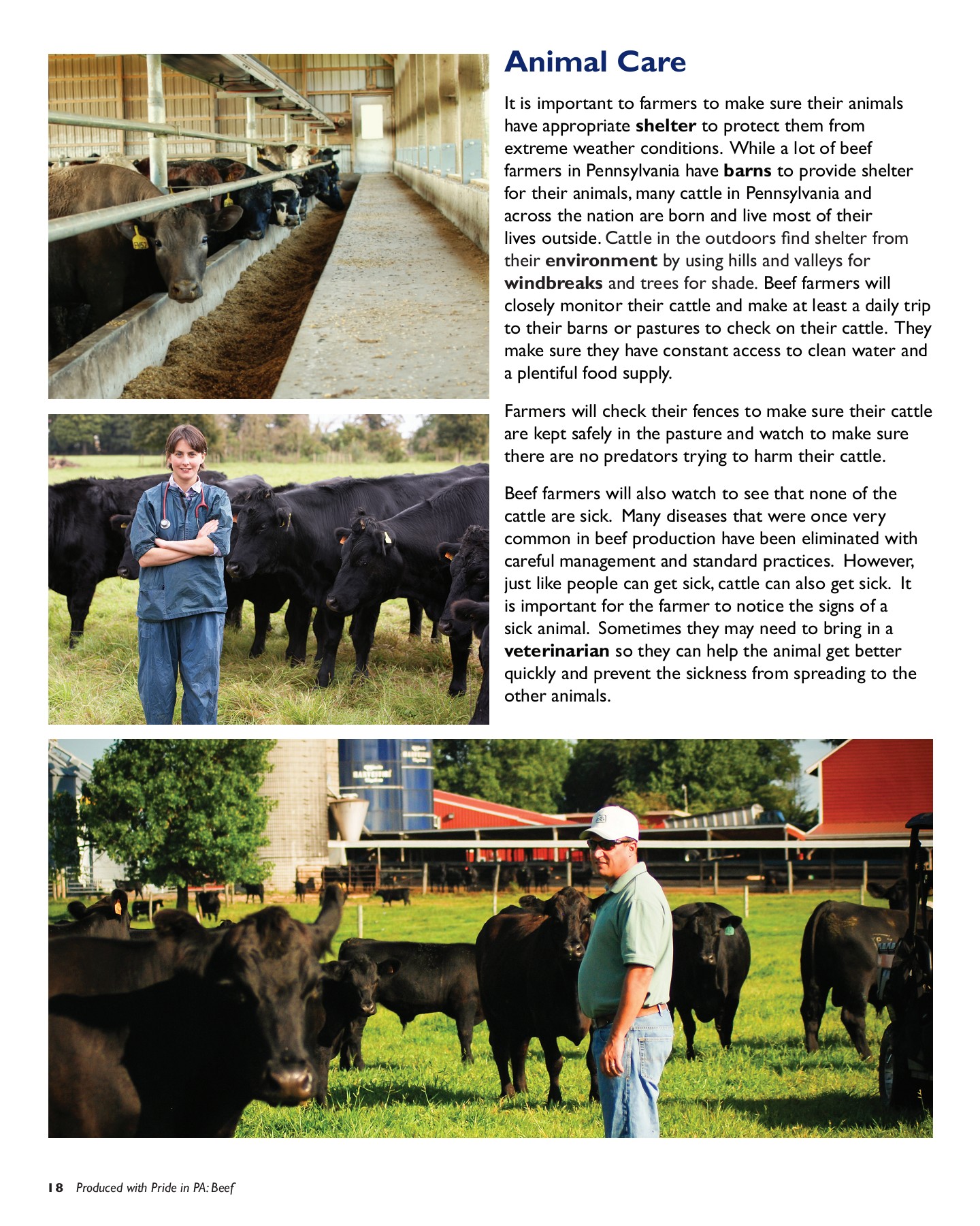 Produced with Pride in Pennsylvania - Beef - koboldpink74 - Page 24 ...