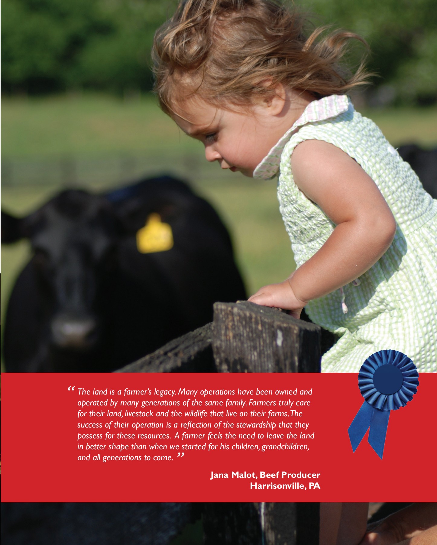 Produced with Pride in Pennsylvania - Beef - koboldpink74 - Page 31 ...