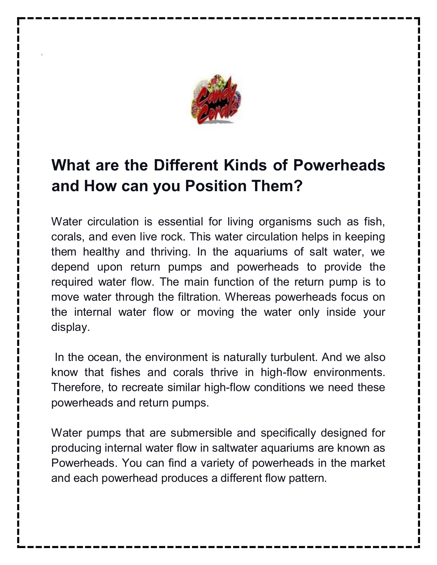 What are the Different Kinds of Powerheads and How can you Position ...