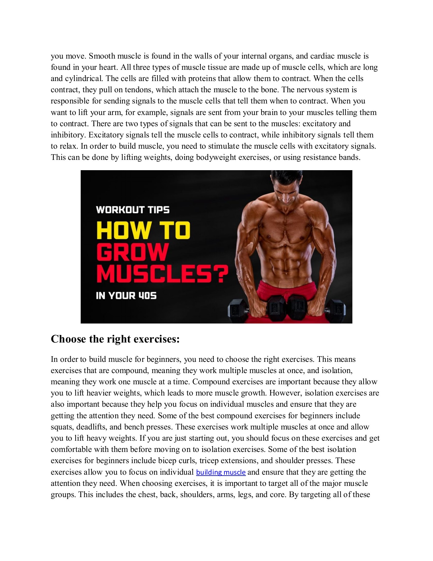 How to Build Muscle for Beginners - Rima Akter - Page 2 | Flip PDF ...