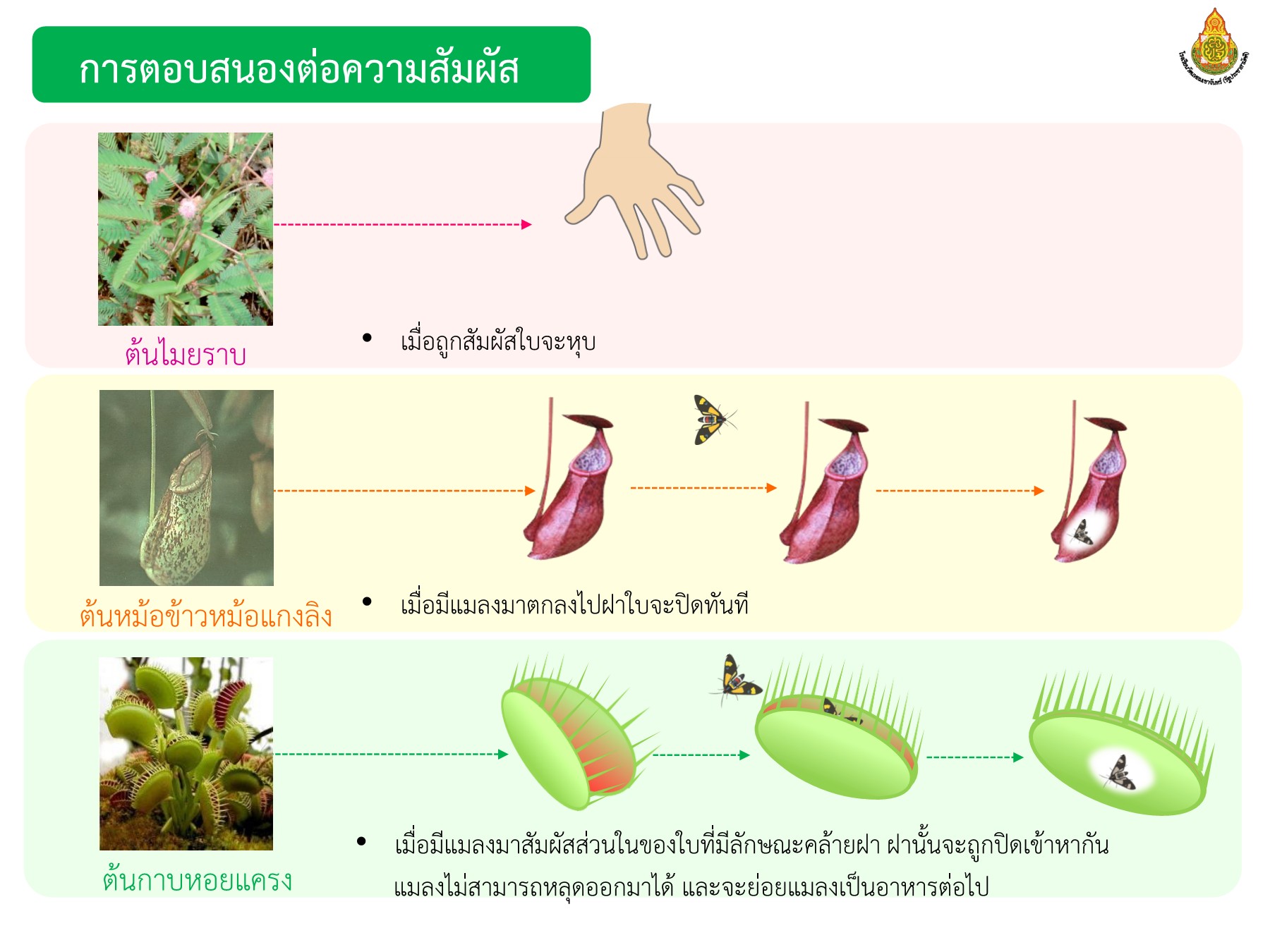 กระบวนการในการดำรงชีวิตของพืช - mppmiw - หน้าหนังสือ 18 | พลิก PDF ...