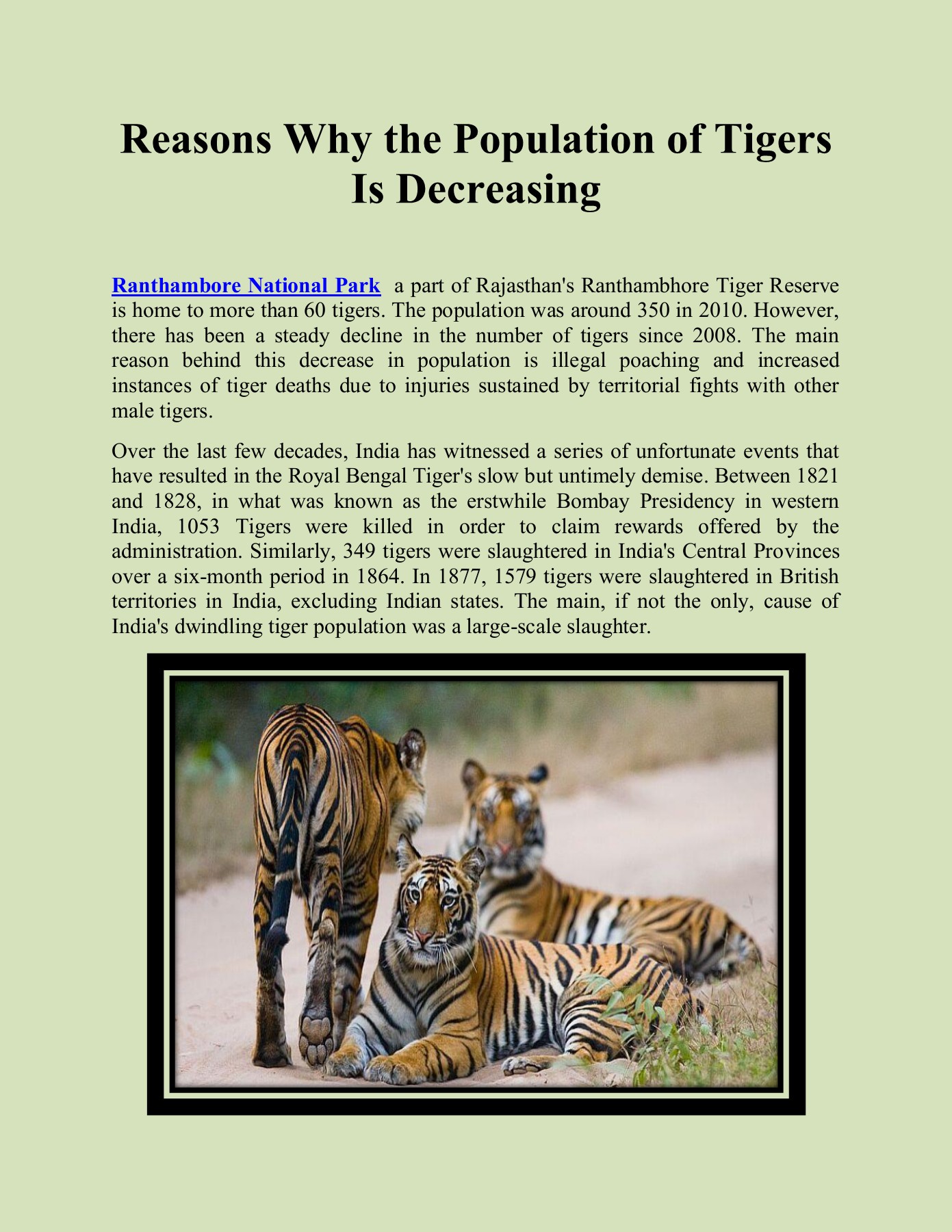 Reasons Why the Population of Tigers Is Decreasing - Ranthambore Safari ...