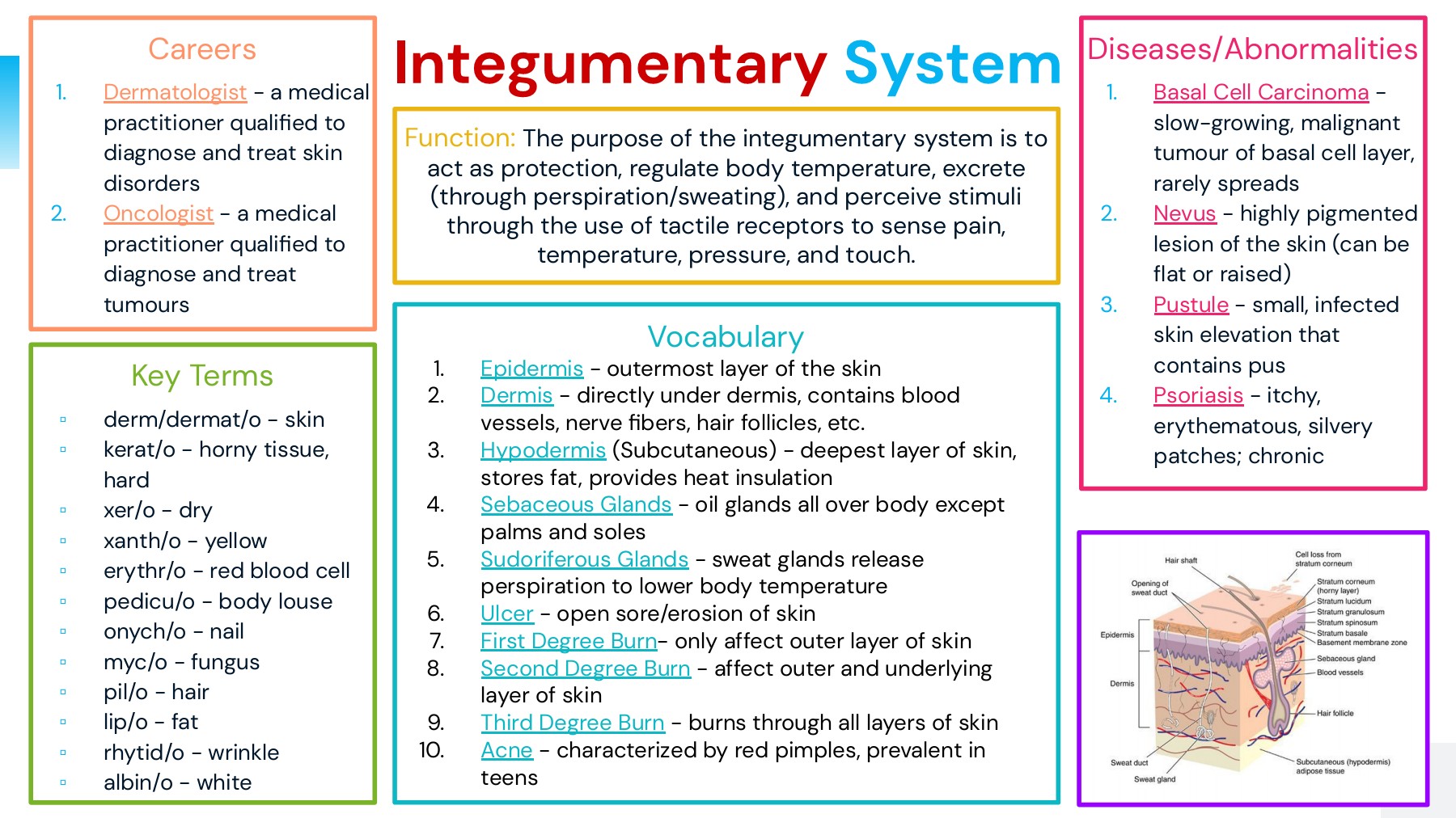Suhani Swain ~ Body Systems Flipbook - P3A Kuberski RHS Health Science ...