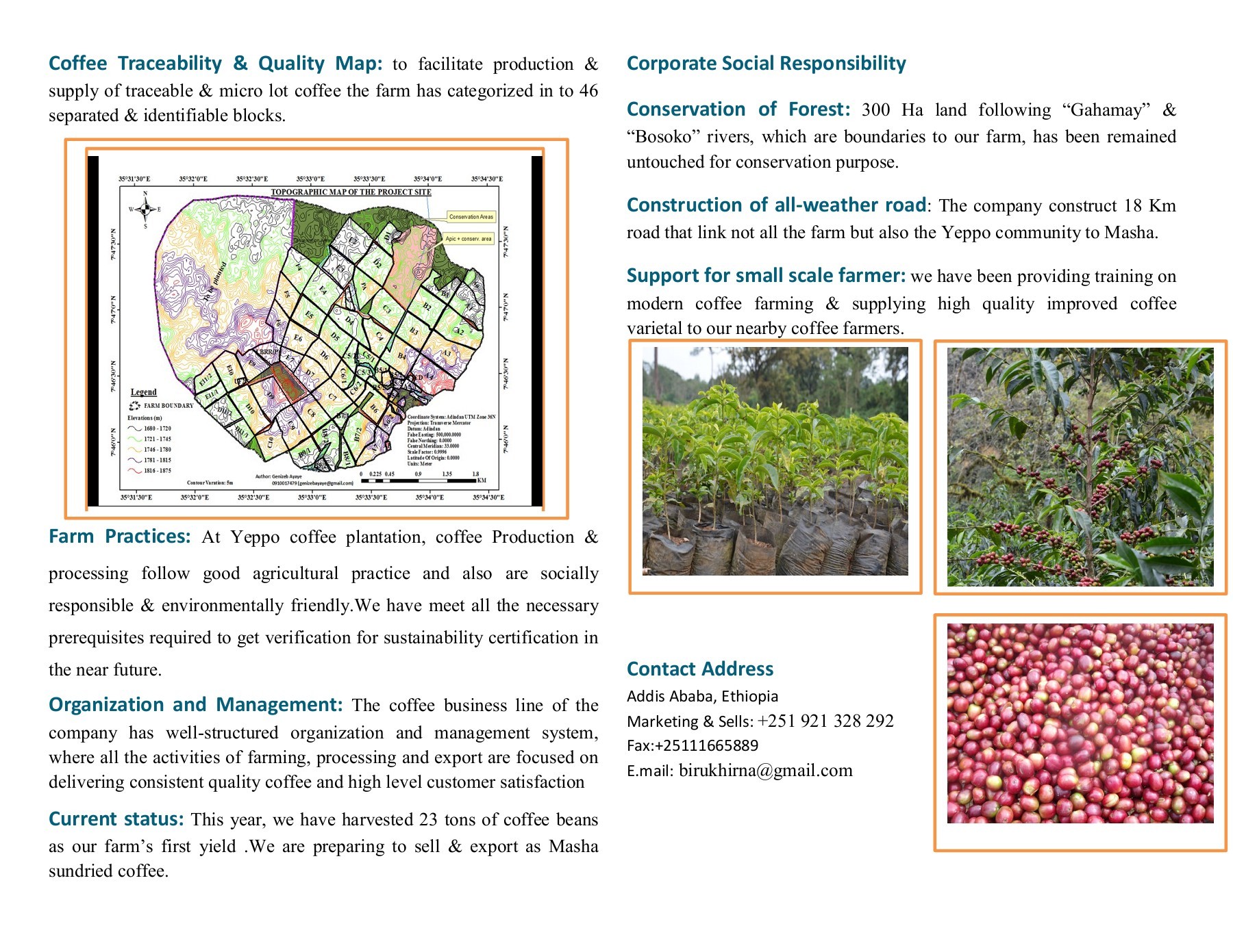 HAILE COFFEE BROCHER revised with two columen pdf - gastr5r - Page 2 ...