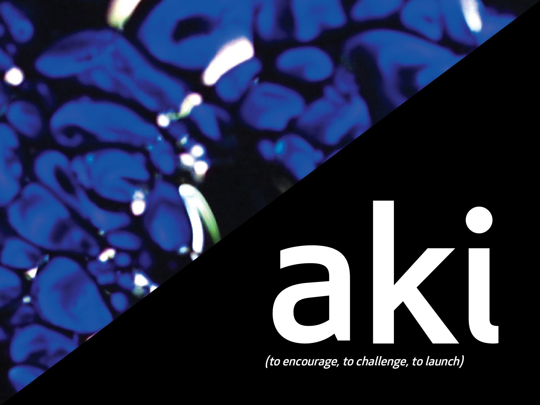 Aki exhibition catalogue - gallery - Page 1 - 64 | Flip PDF Online ...