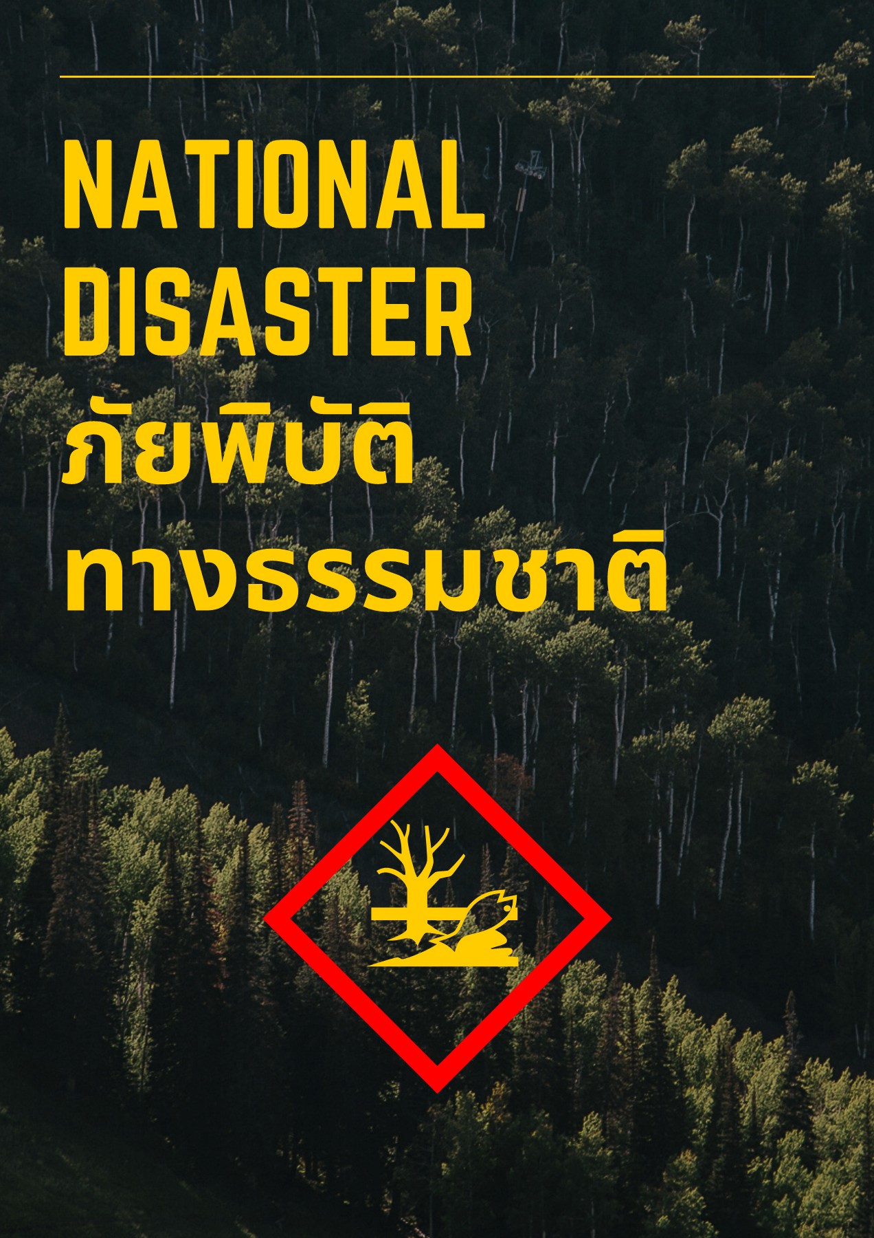 Yellow Photo Natural Disaster Emergency Response Poster - bebeyteerak ...