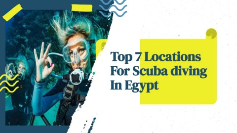 Top 7 Locations For Scuba diving In Egypt