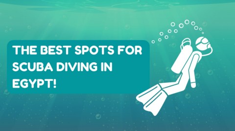 The Best Spots for Scuba Diving in Egypt!