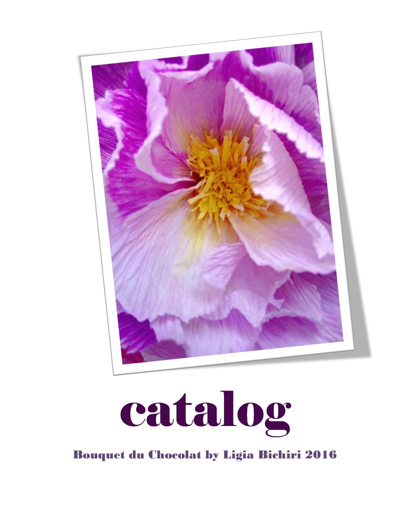 catalog (1) - ligiageorgianapop - Page 1 - 13 | PDF Feuilletable en ...