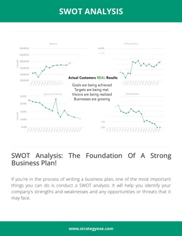 Swot Analysis - Strategy Execution Software - Page 2 | Flip PDF Online | PubHTML5