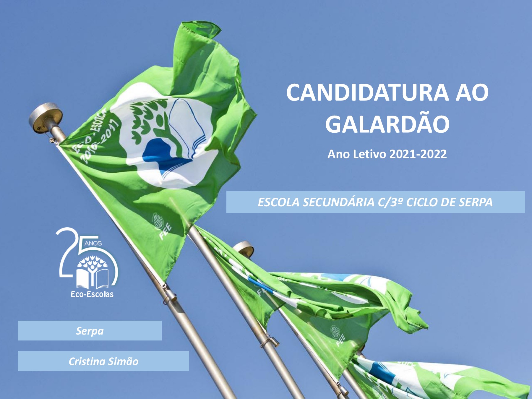 Portefolio - Galardão Bandeira Verde - 2022_ESSerpa - cristina.simao ...