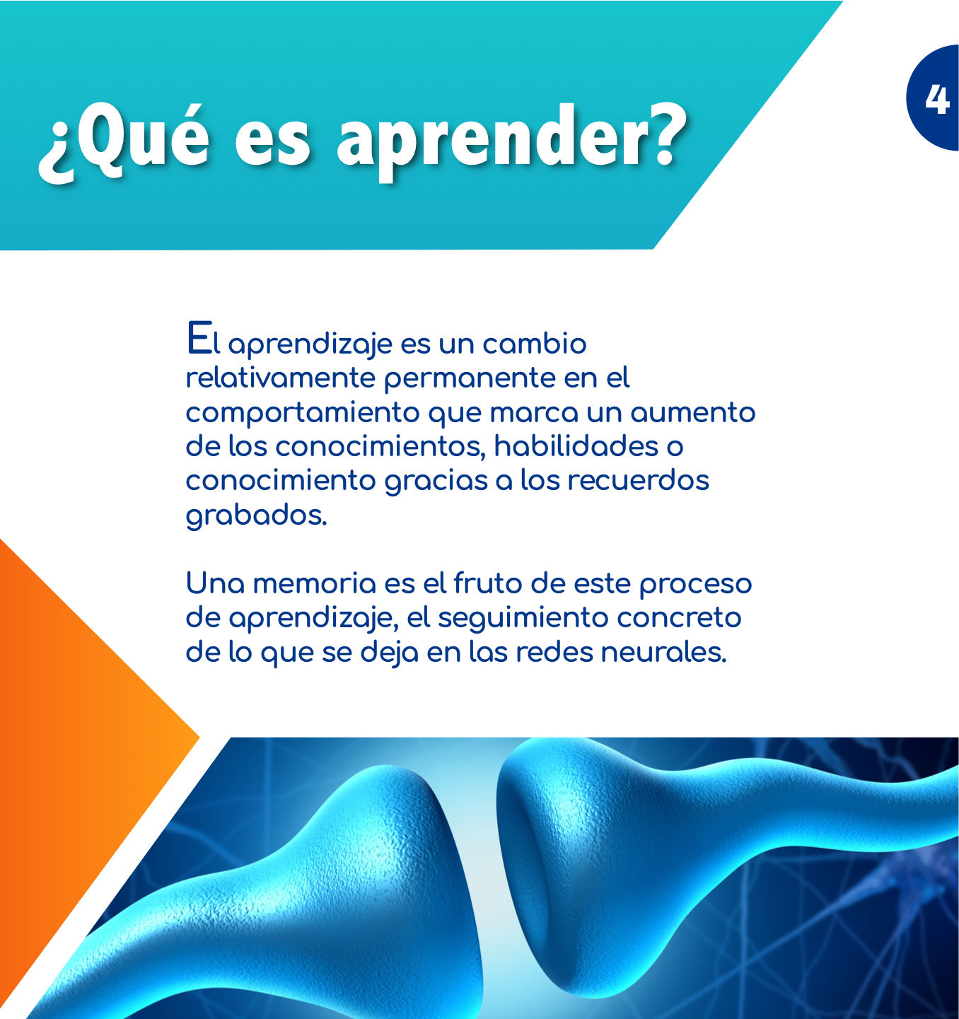 Neuroeducación y sus aportes en el proceso de enseñanza-aprendizaje ...
