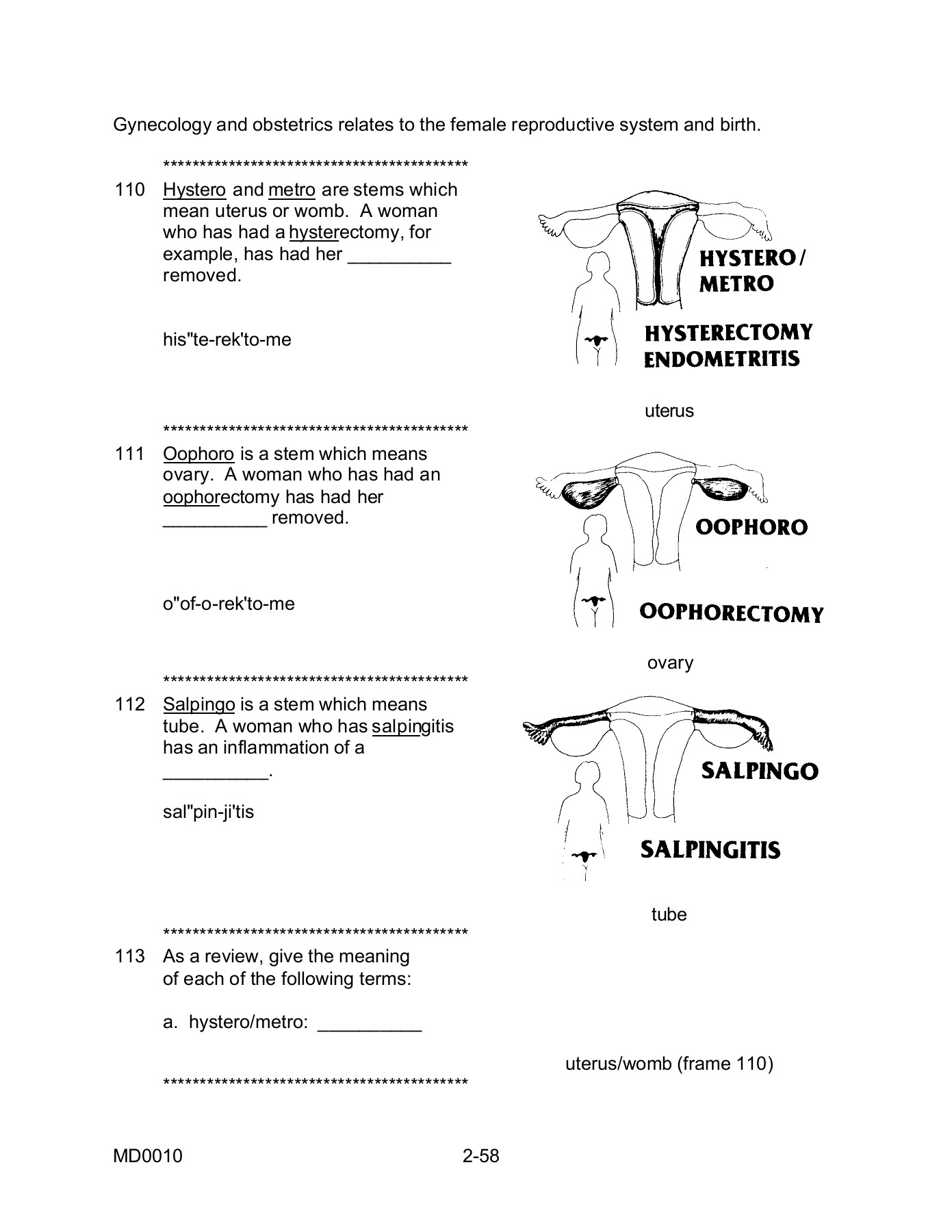 basic_medical_terminology - shaneholl - Page 74 | Flip PDF Online ...