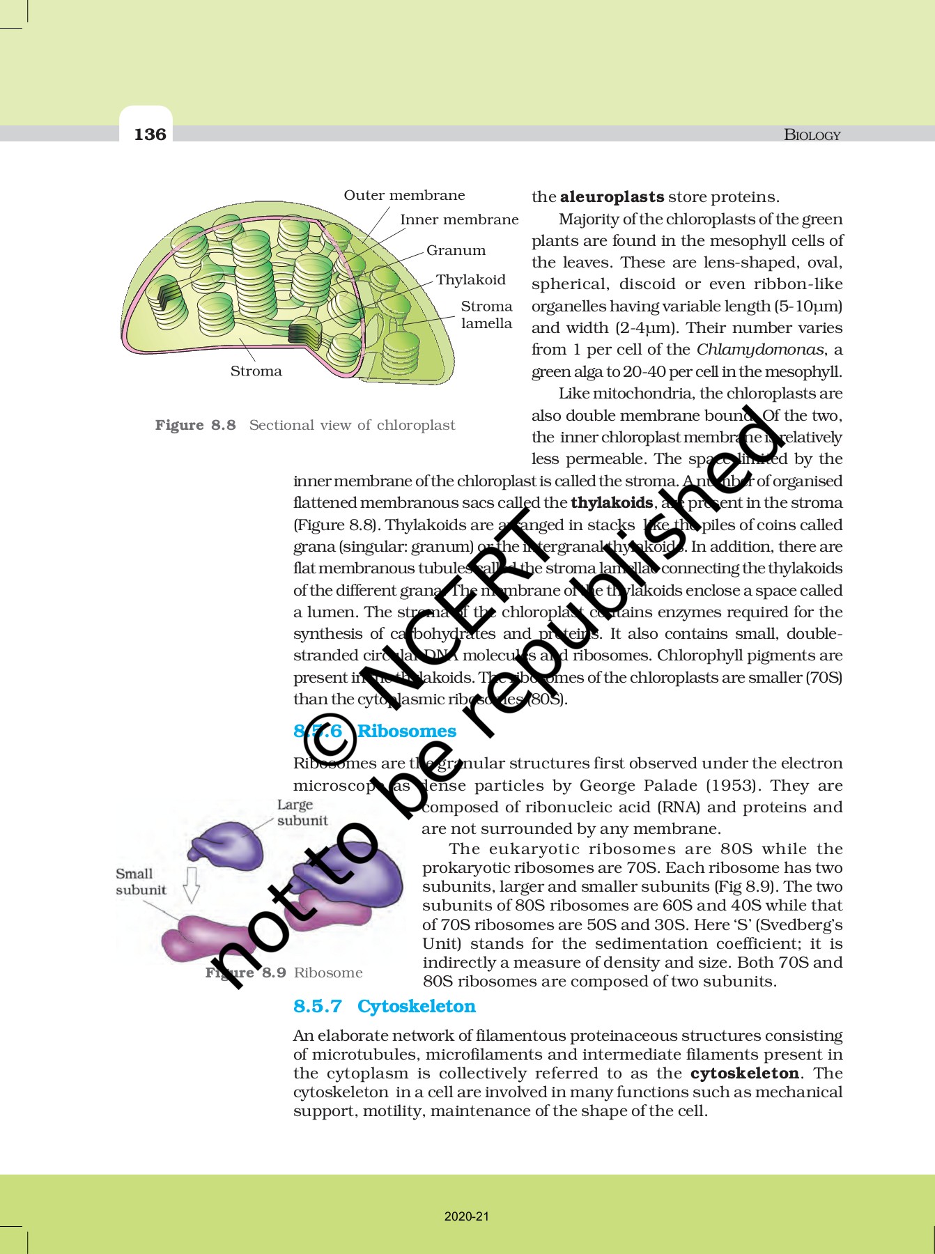 NCERT-CHAPTER-8-CLASS-11-BIOLOGY - Mahak Arora - Page 14 | Flip PDF ...
