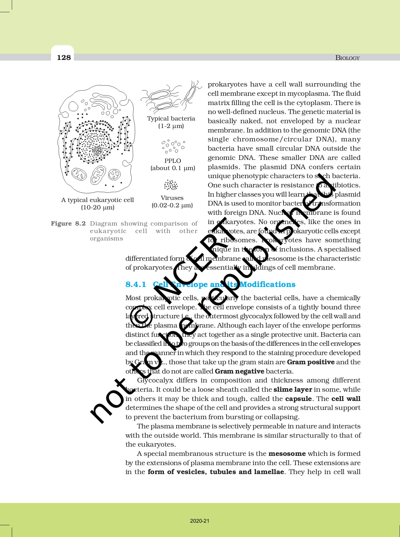 NCERT-CHAPTER-8-CLASS-11-BIOLOGY - Mahak Arora - Page 6 | Flip PDF ...