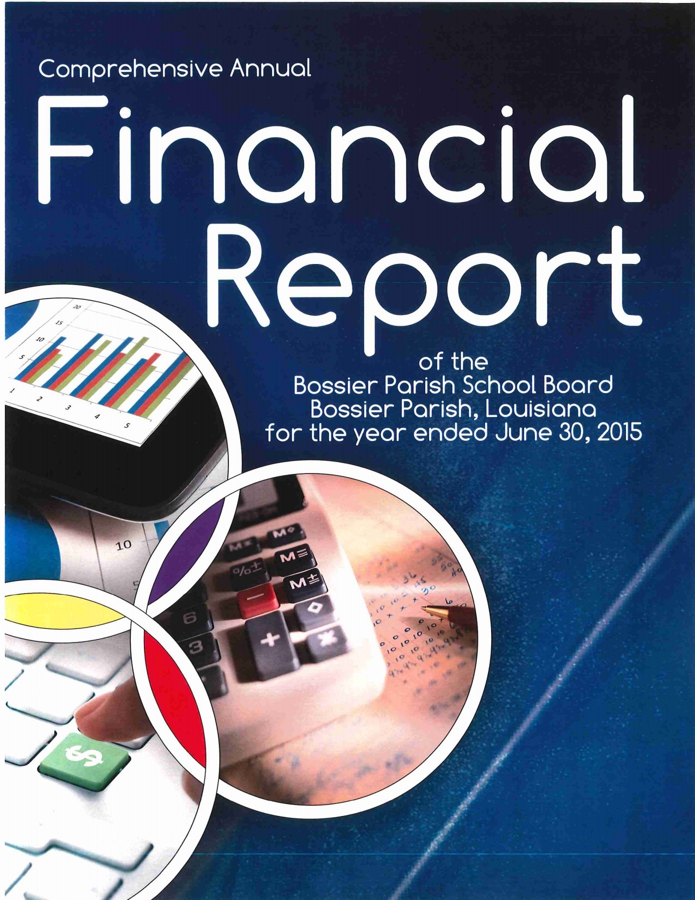 Comprehensive Annual Financial Report - stewart.thompson - Page 1 - 155 ...