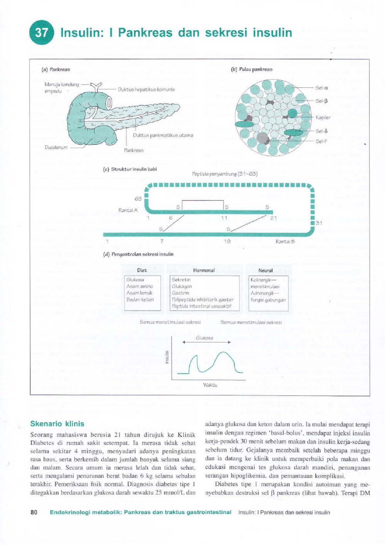 Bagian 9 Endokrinologi metabolik - Pankreas dan traktus ...