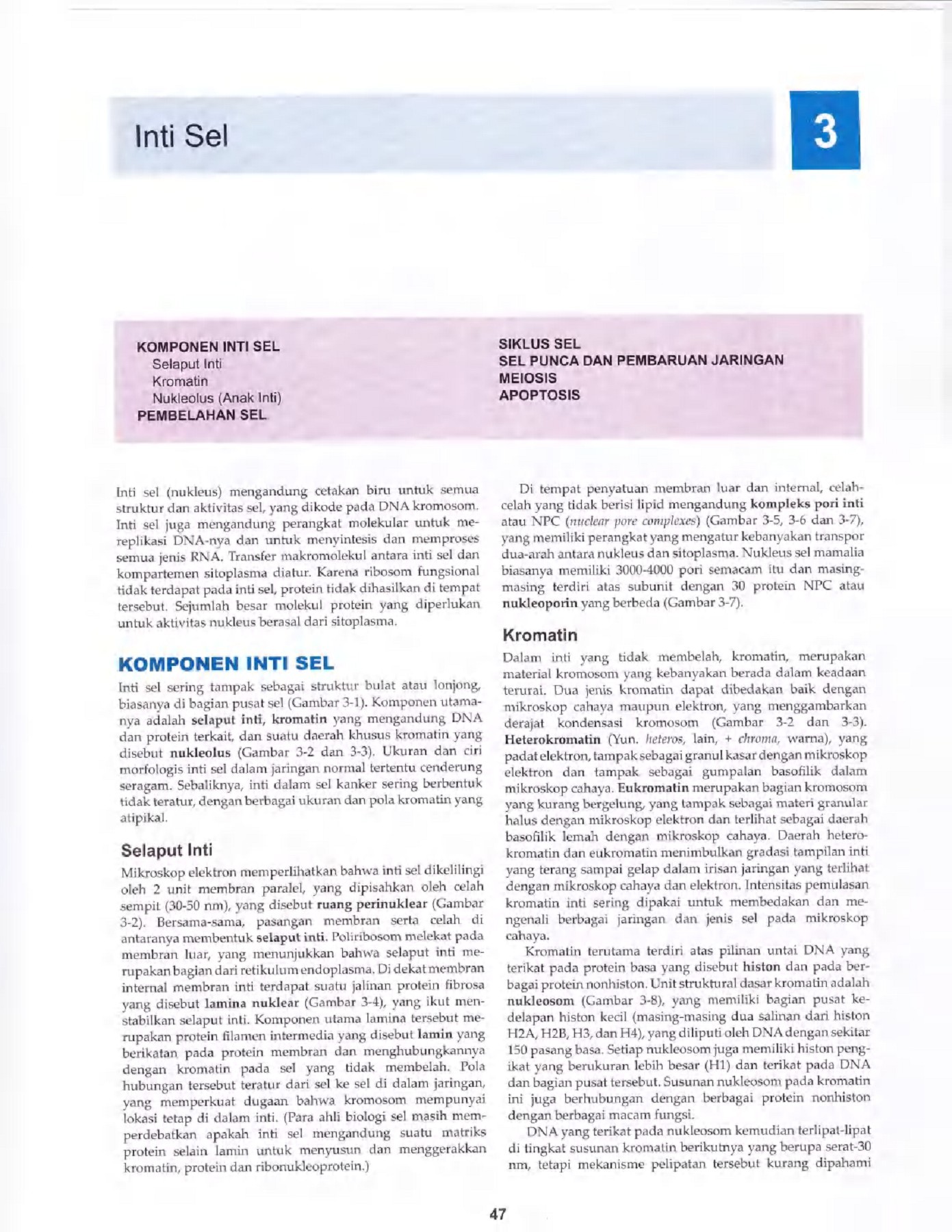 Bab 3. Inti Sel - haryahutamas - Halaman 1 - 17 | PDF Online | PubHTML5