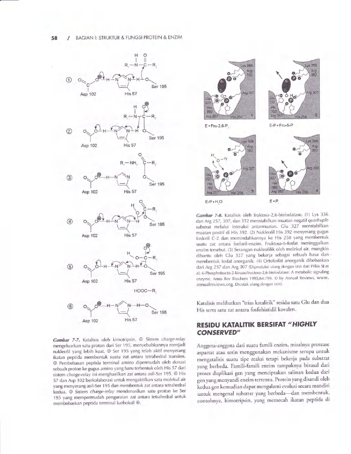 Bab 7. Enzim - Mekanisme Kerja - haryahutamas - Halaman 6 | PDF Online ...