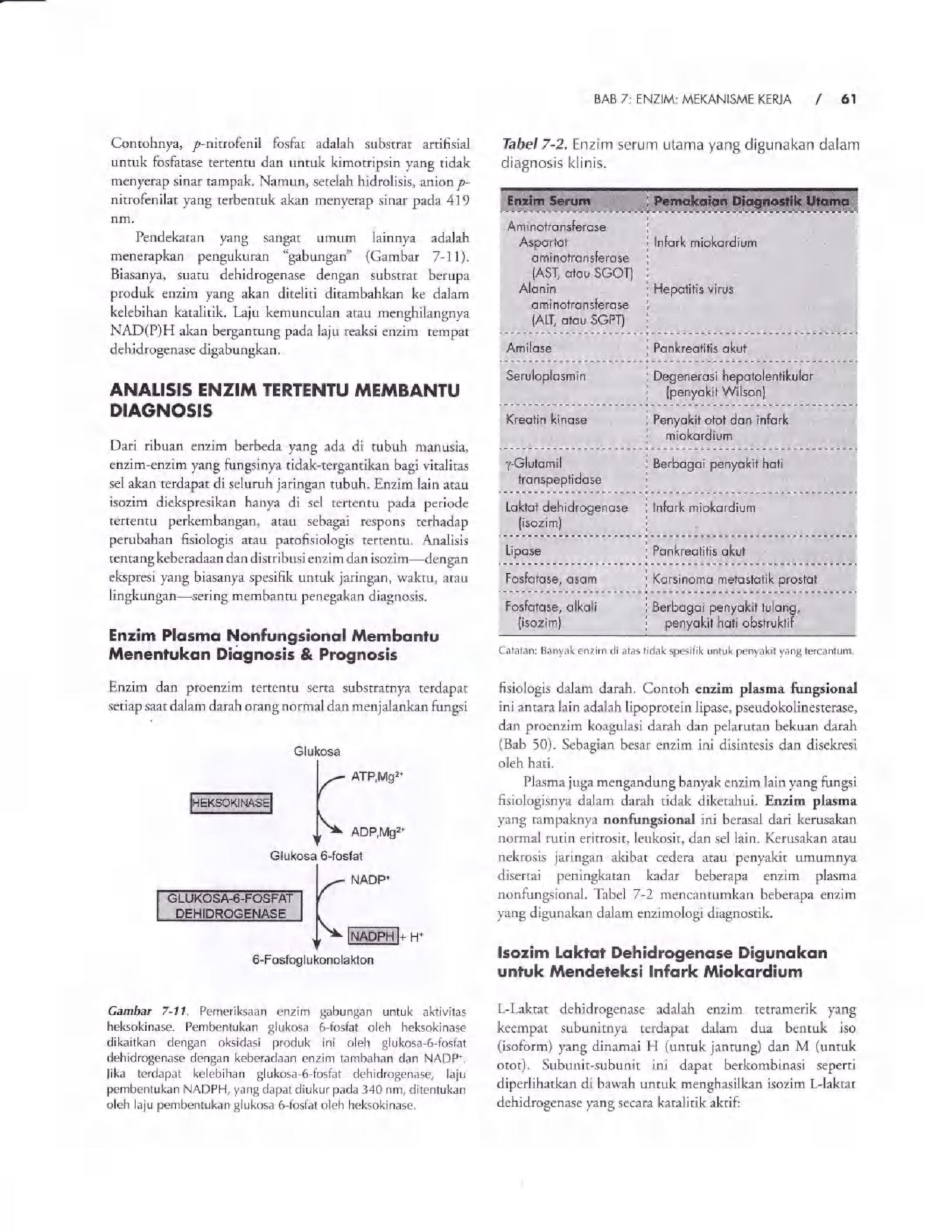 Bab 7. Enzim - Mekanisme Kerja - haryahutamas - Halaman 9 | PDF Online ...
