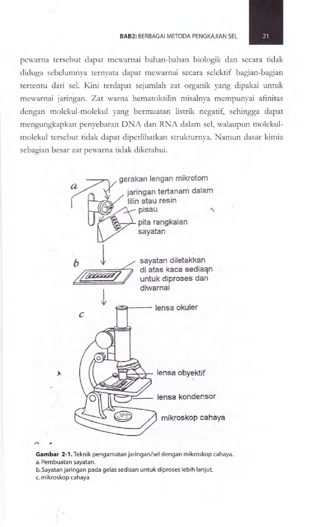 Bab 02. Berbagai Metoda dalam Pengkajian Sel - haryahutamas - Halaman 3 ...