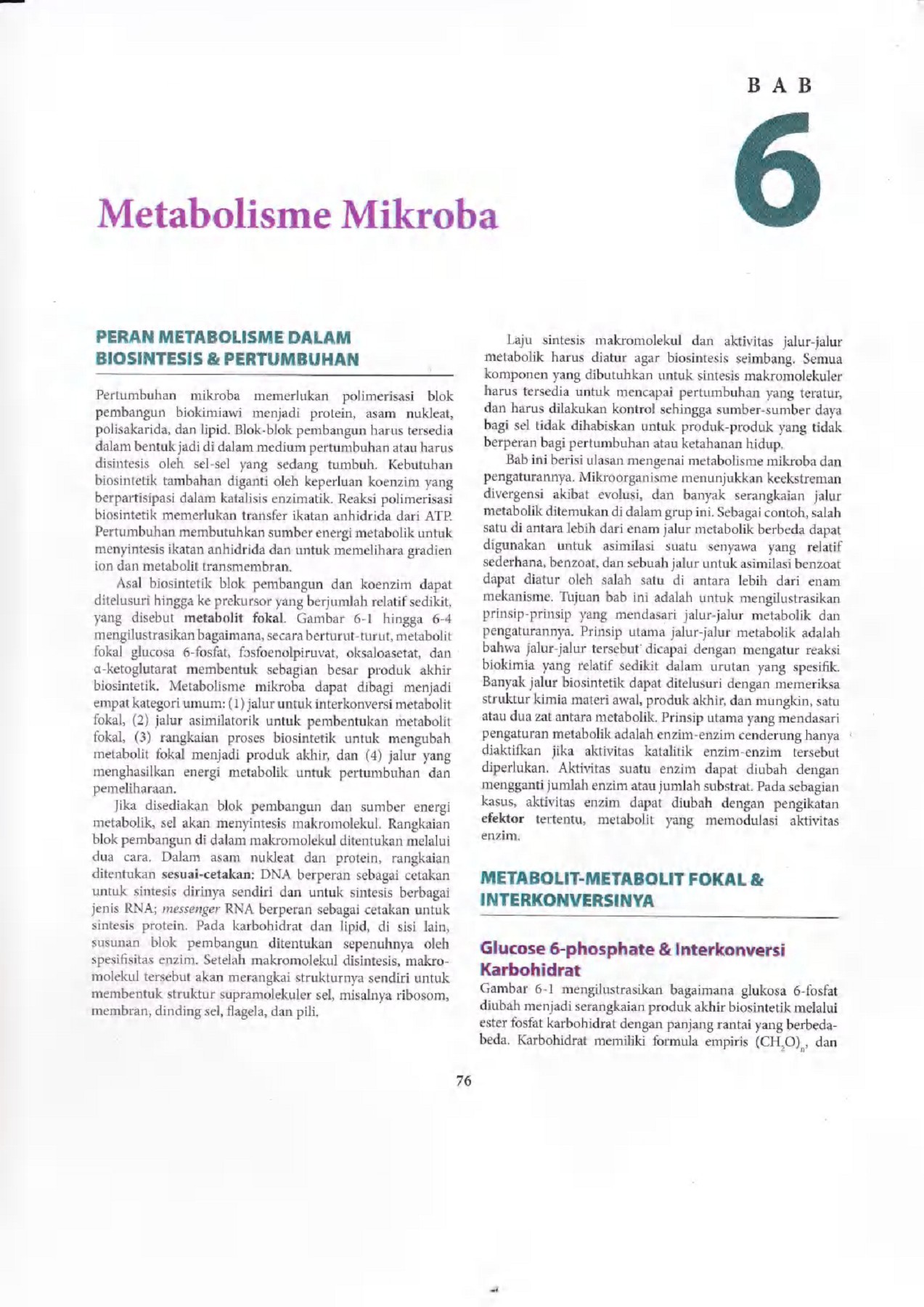 Bab 06. Metabolisme Mikroba - haryahutamas - Halaman 1 - 24 | PDF Online | PubHTML5