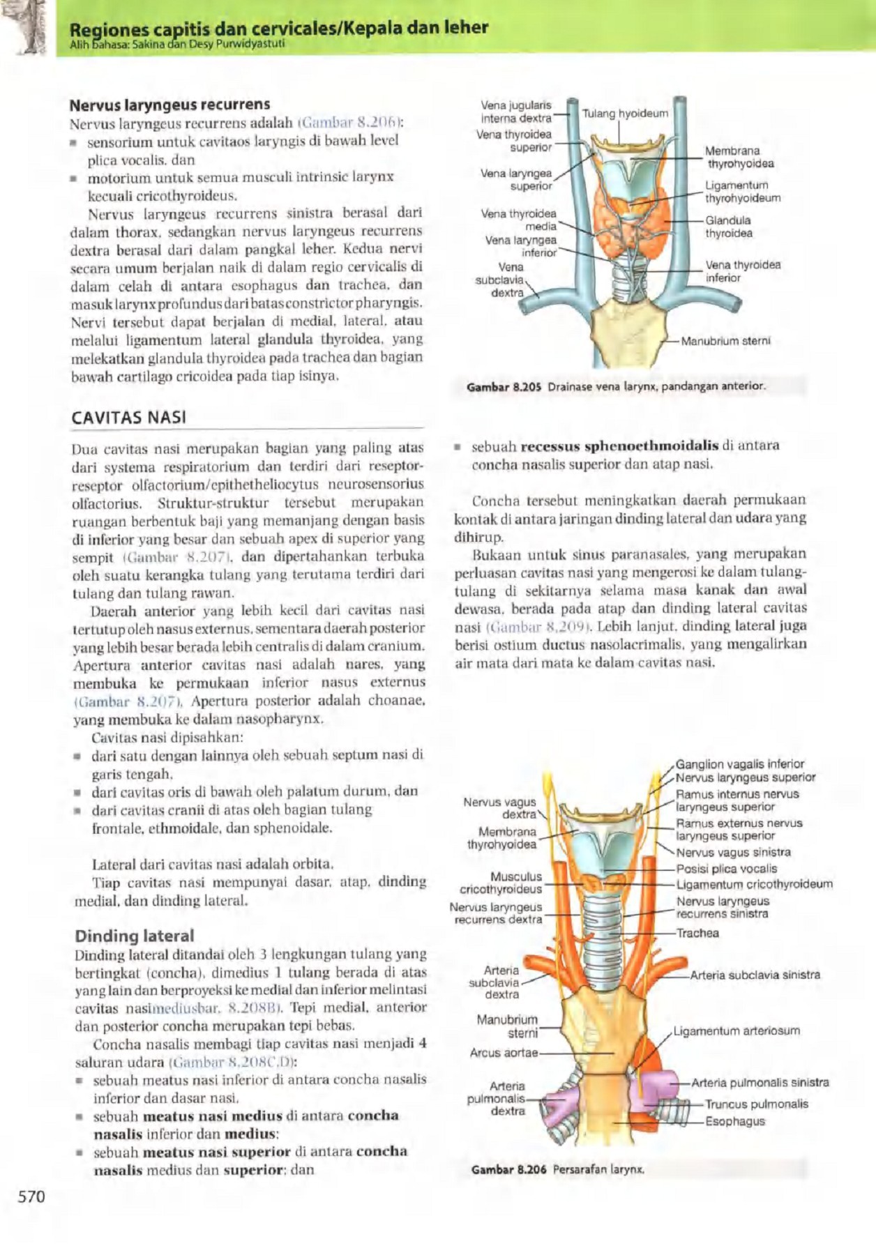 Bab 8 Regiones Capitis dan Cervicales-Kepala dan Leher - haryahutamas ...