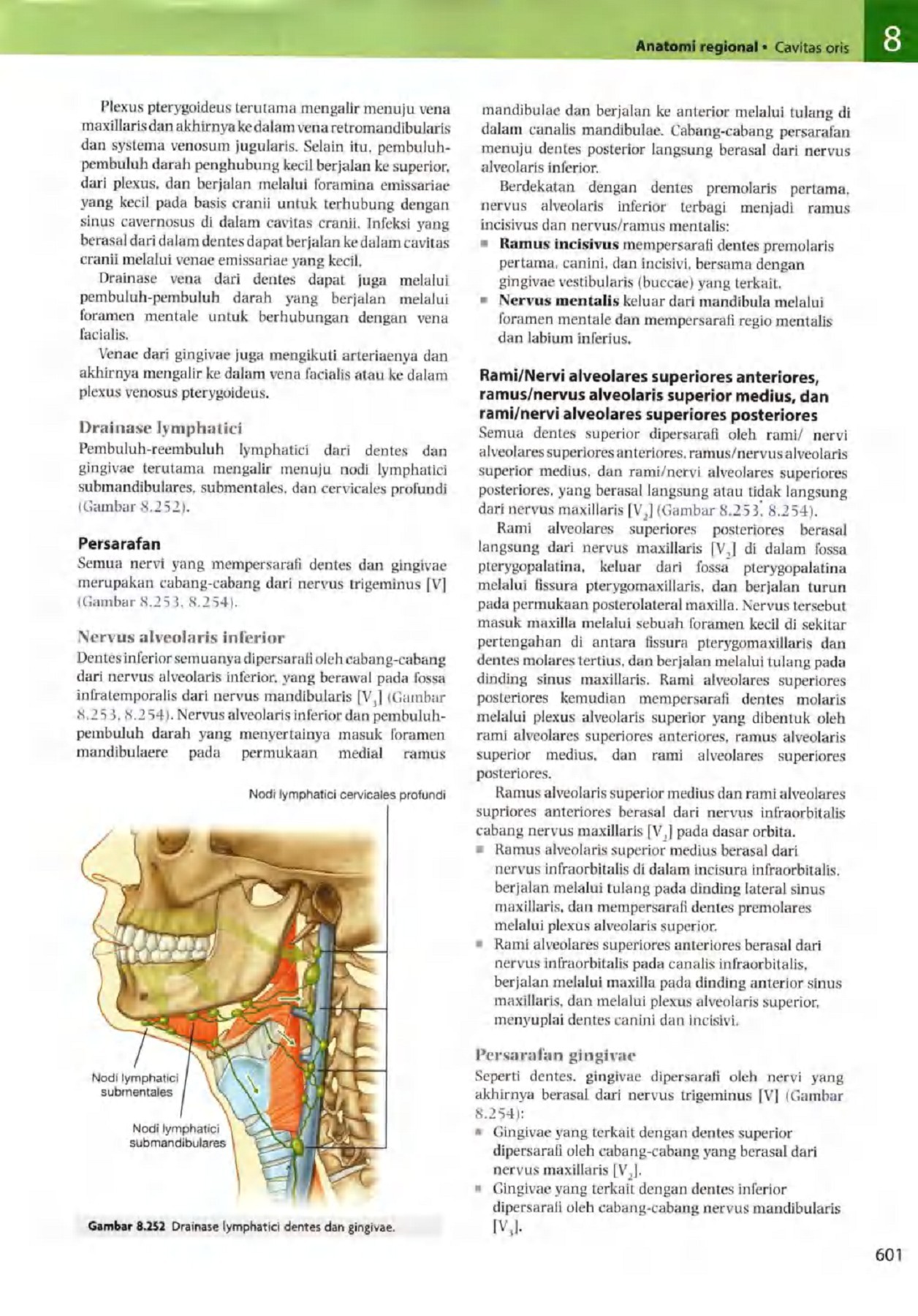 Bab 8 Regiones Capitis dan Cervicales-Kepala dan Leher - haryahutamas ...