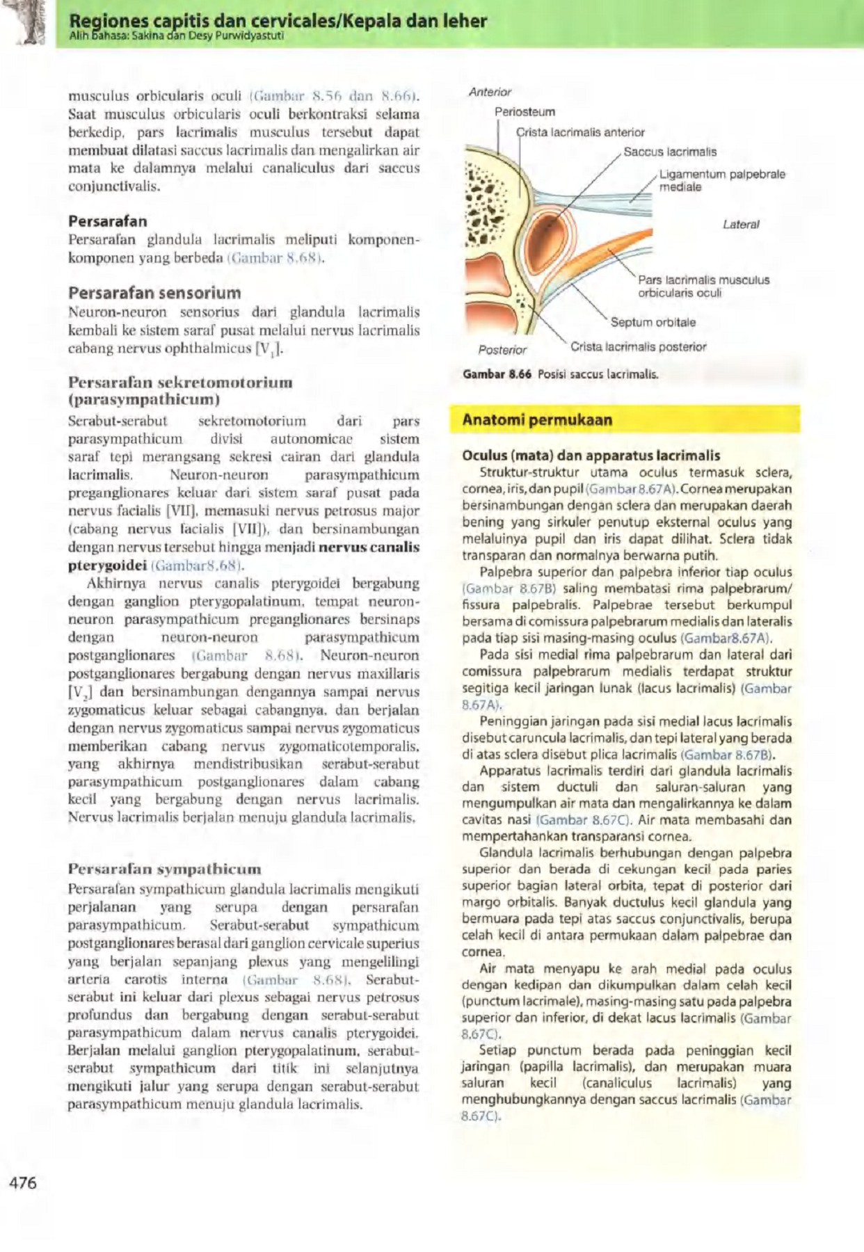 Bab 8 Regiones Capitis dan Cervicales-Kepala dan Leher - haryahutamas ...