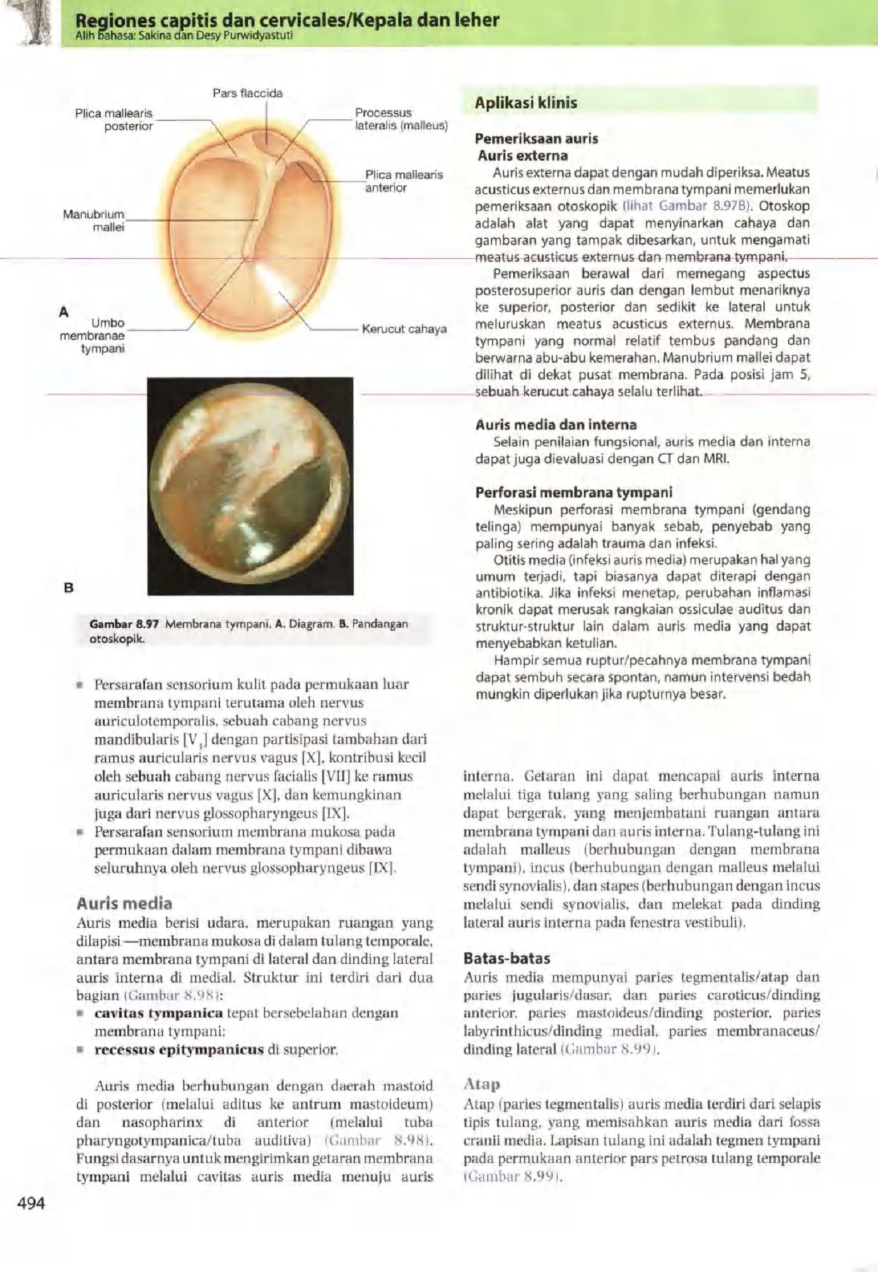 Bab 8 Regiones Capitis dan Cervicales-Kepala dan Leher - haryahutamas ...