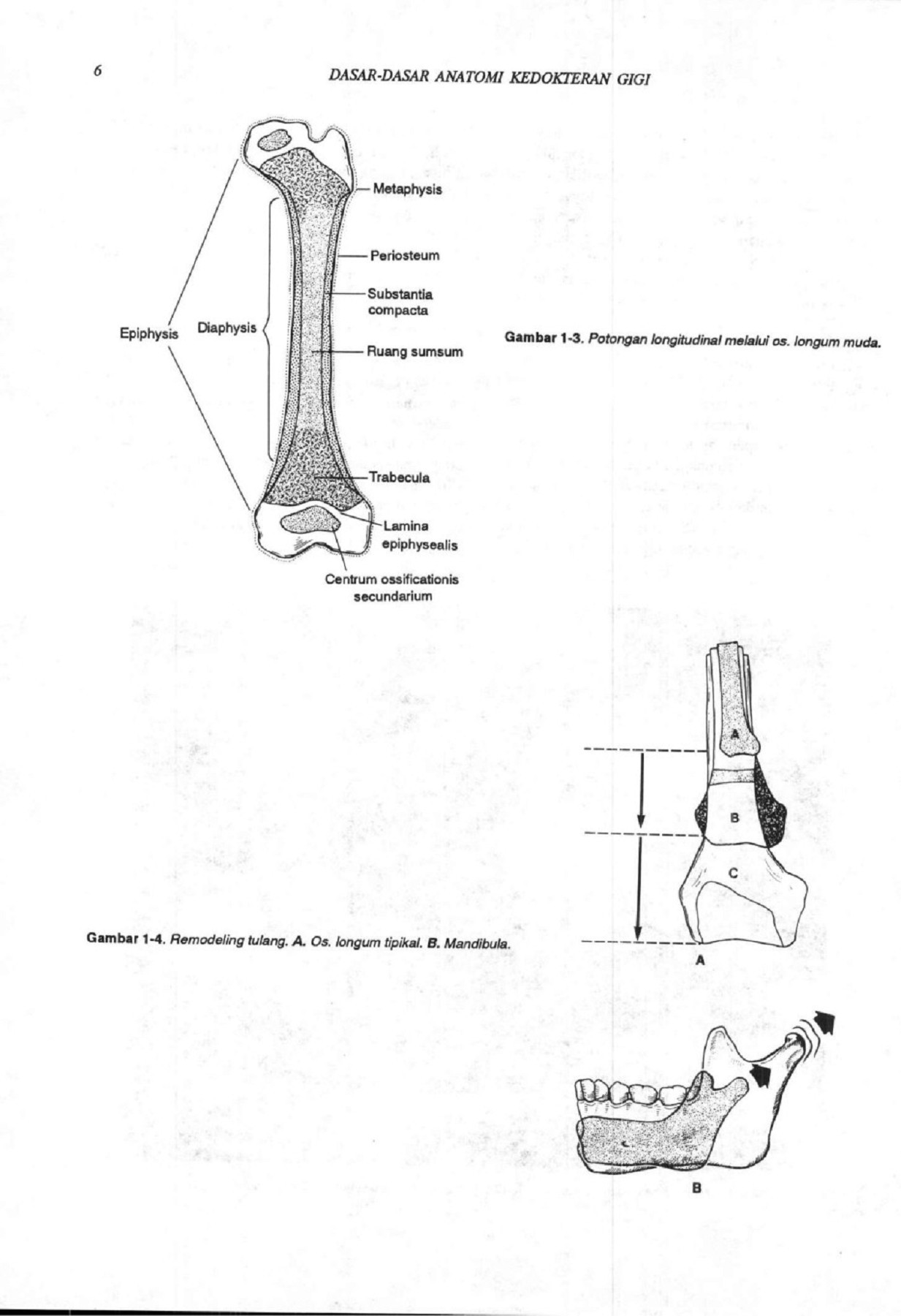 Bab 01. Konsep Dasar - haryahutamas - Page 6 | Flip PDF Online | PubHTML5