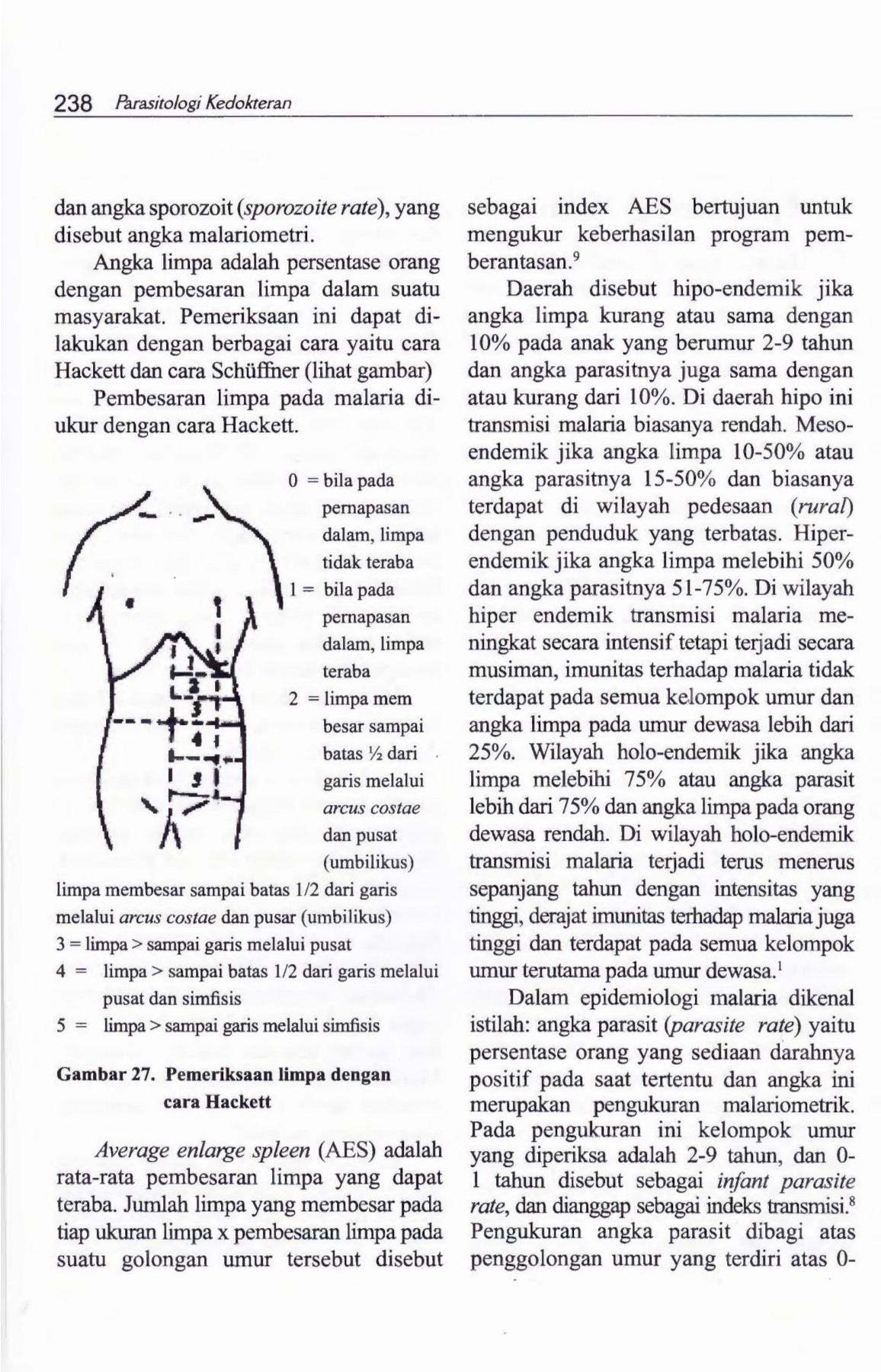 Bab II. Protozologi - haryahutamas - Halaman 138 | PDF Online | PubHTML5